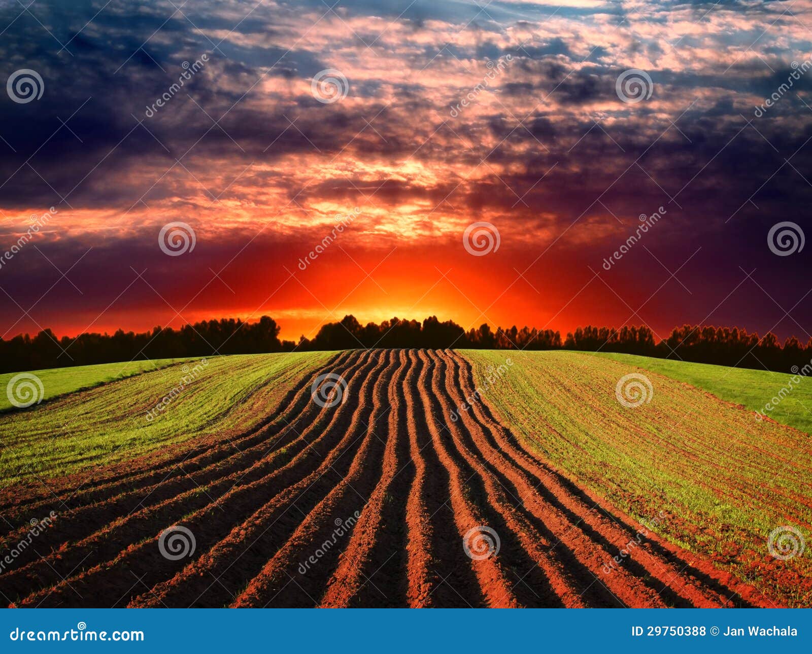 Rural landscape at sunset stock photo. Image of sunny - 29750388