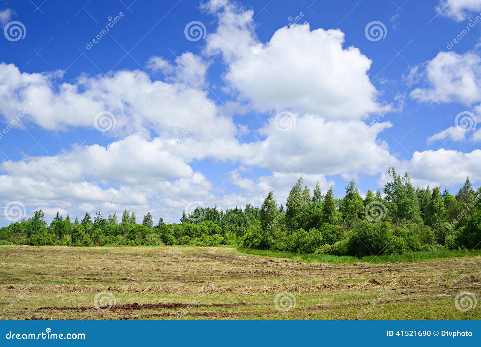 Country landscape stock photo. Image of rural, agronomy - 41521690