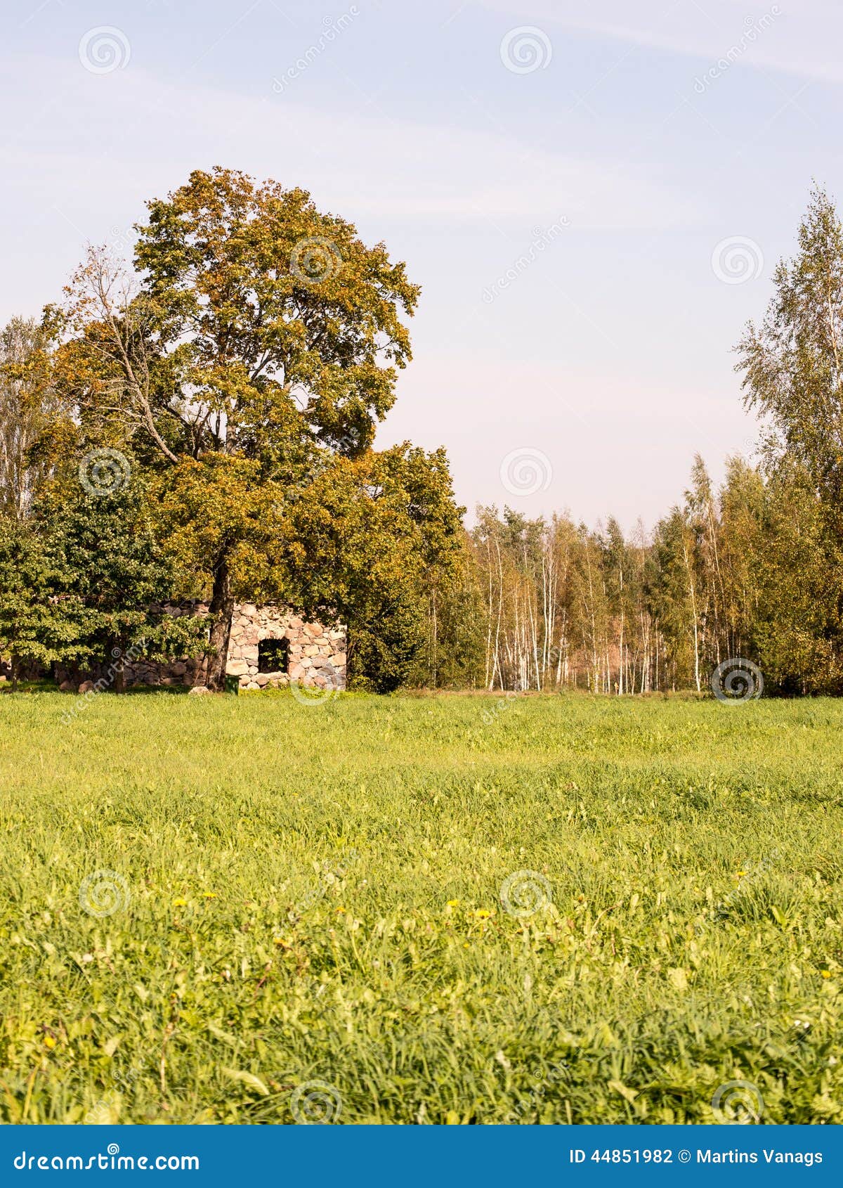 Country Landscape with Fields and Blue Sky Stock Photo - Image of ...