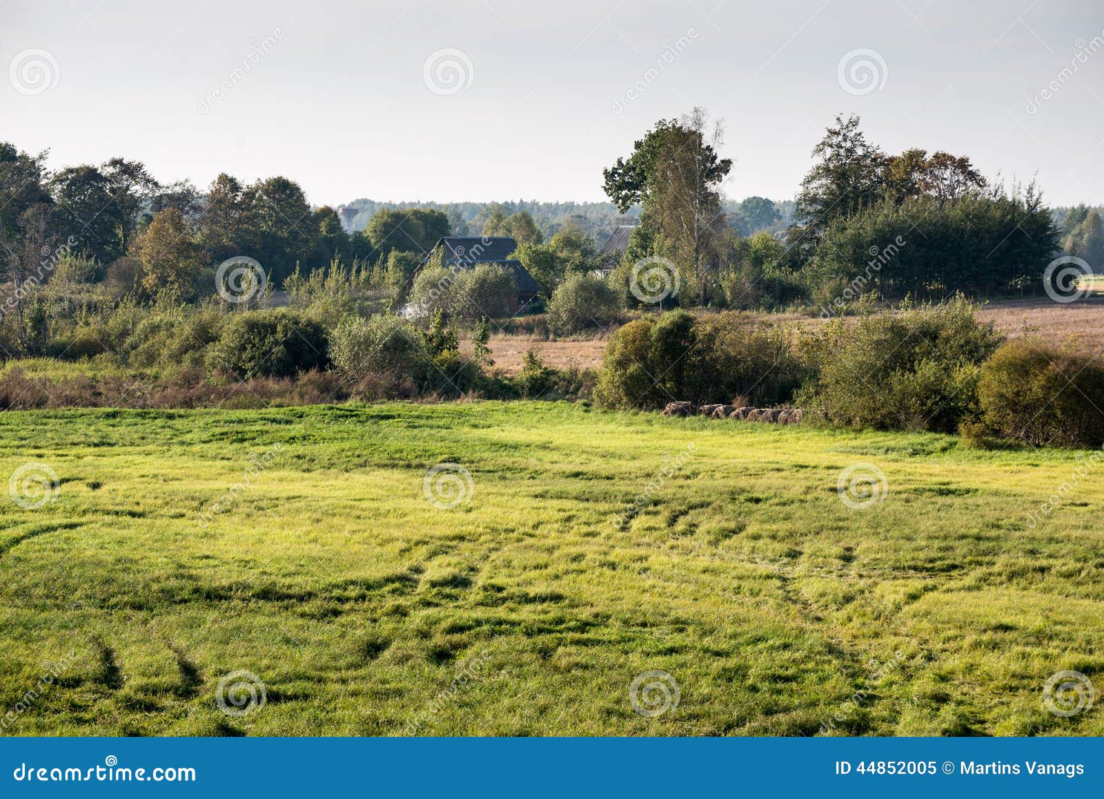 Country Landscape with Fields and Blue Sky Stock Image - Image of light ...