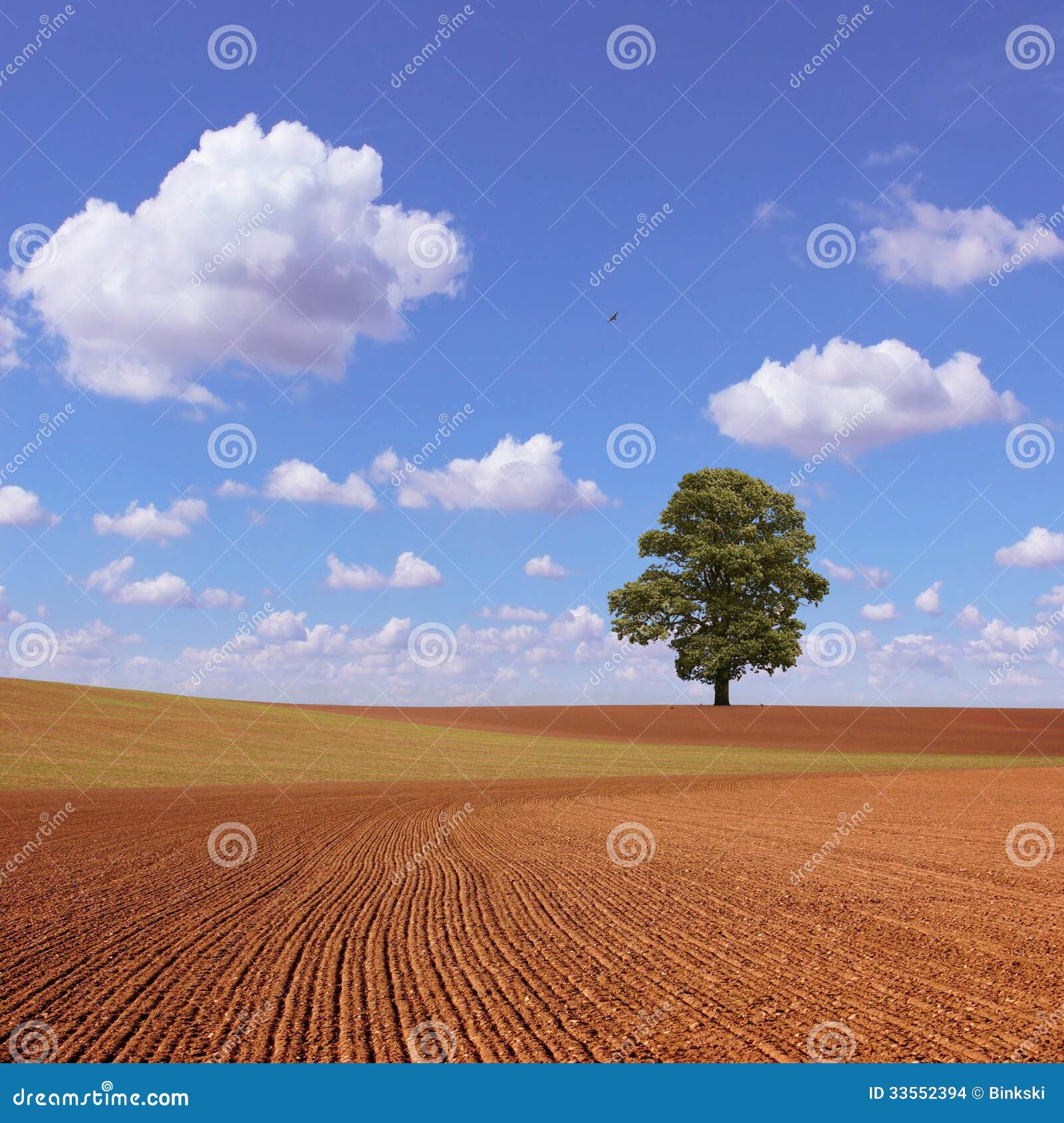 Country Landscape stock photo. Image of hills, agricultural - 33552394