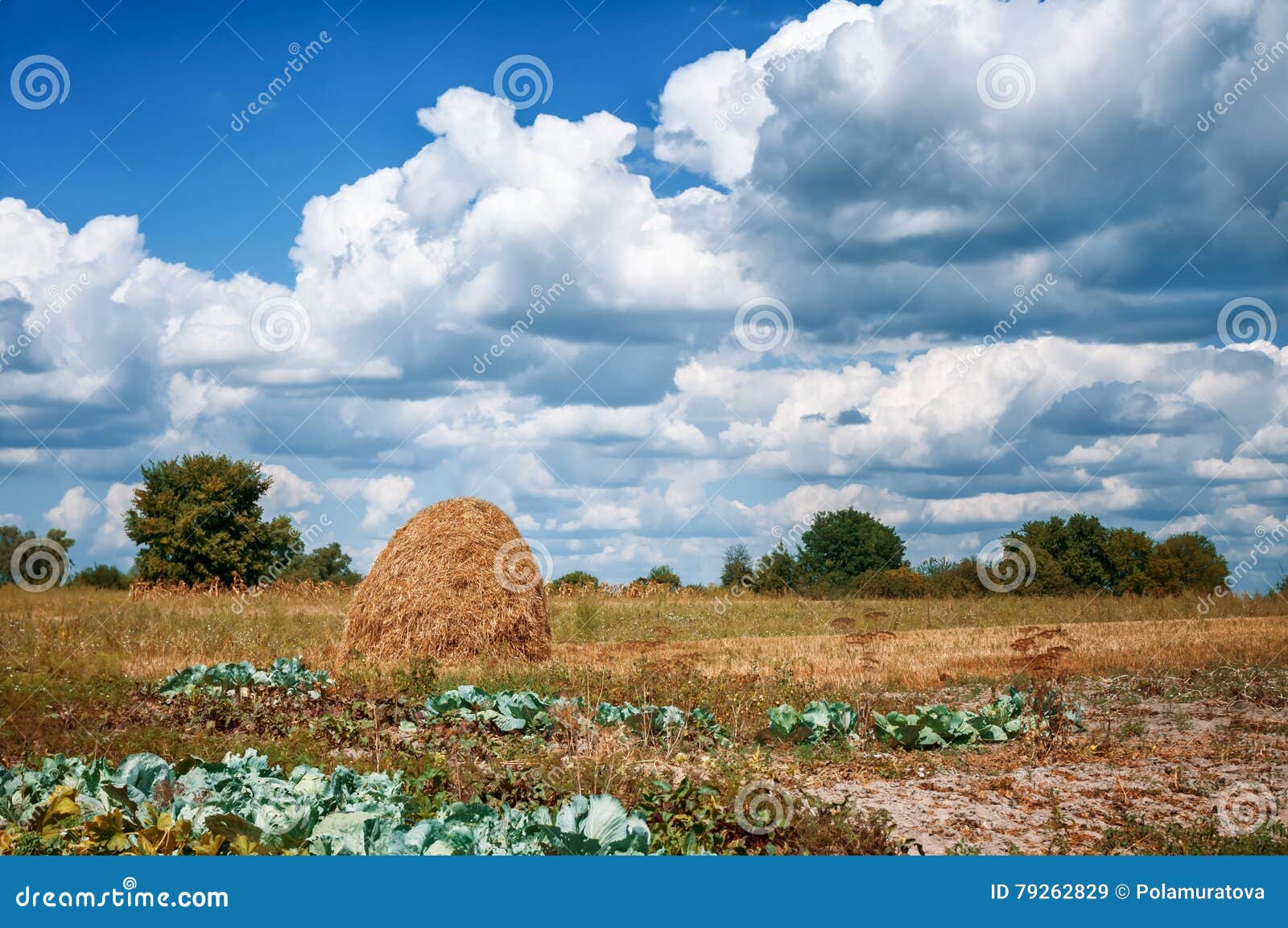 Country Landscape with a Haystack Stock Image - Image of summer ...