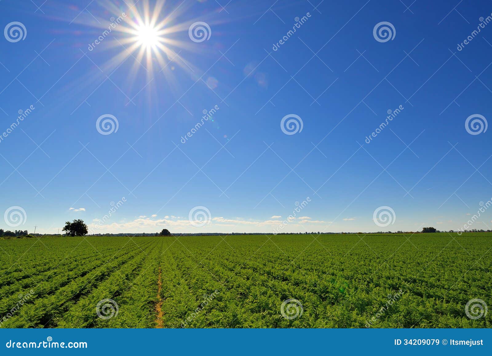 Country Landscape with Sun and Beautiful Sky. Stock Image - Image of ...