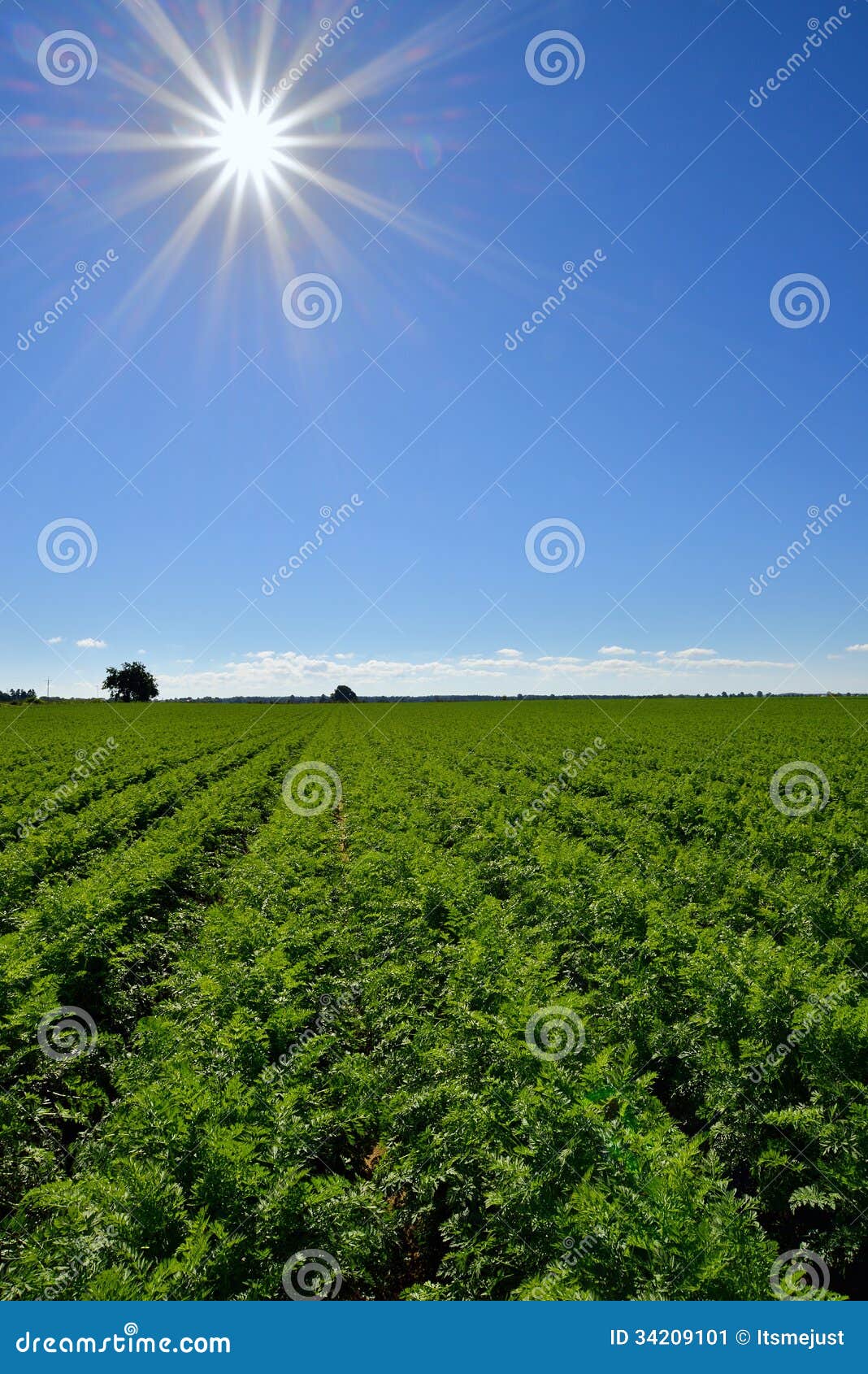 Country Landscape with Sun and Beautiful Sky. Stock Image - Image of ...