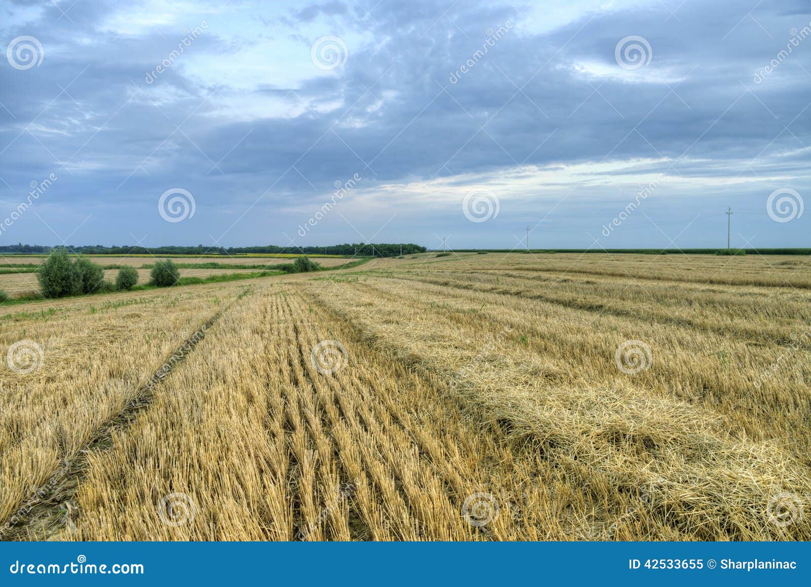 Country Landscape with Trees in the Background Stock Image - Image of ...
