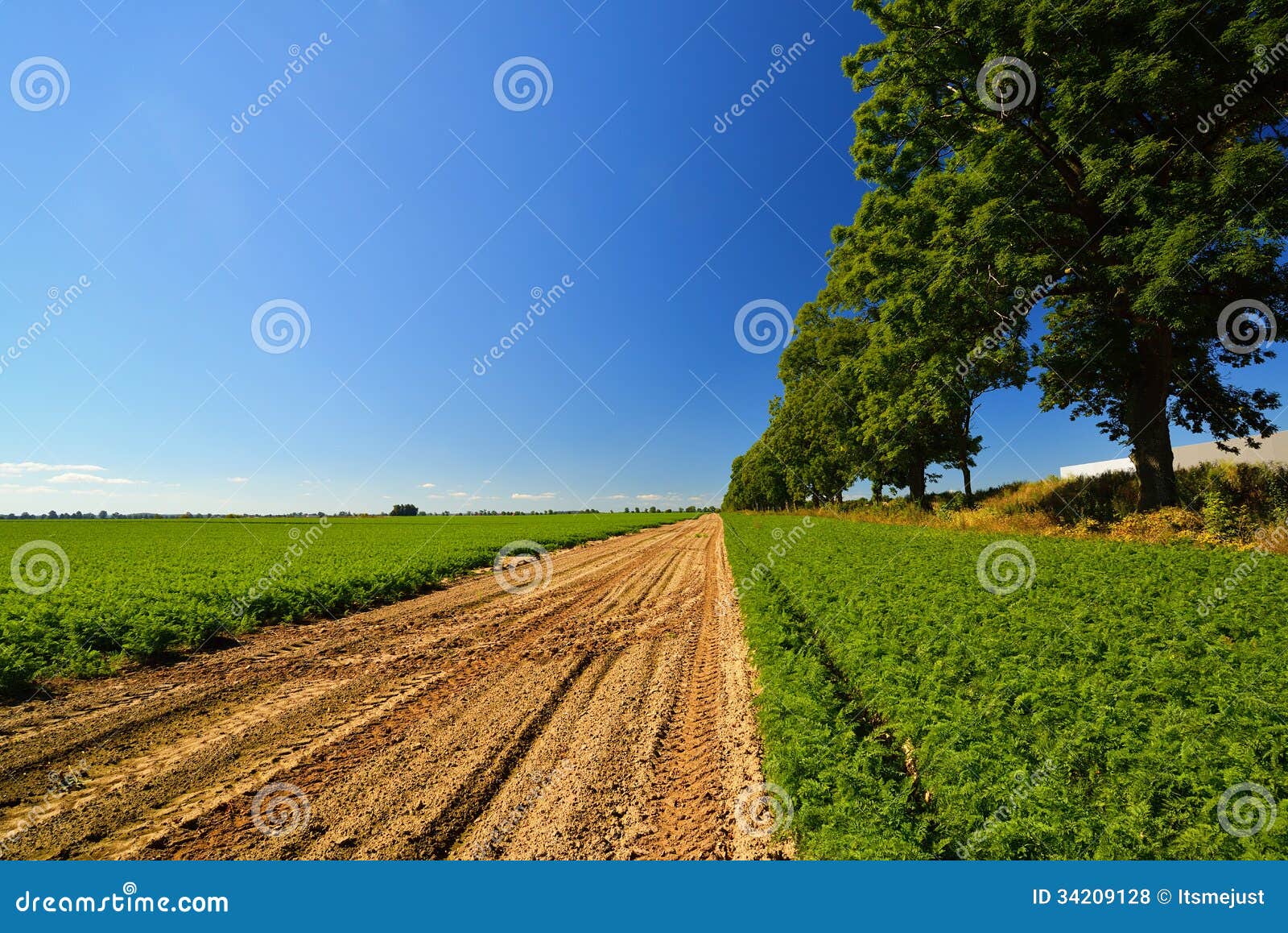Country Landscape with Trees and Beautiful Sky. Stock Photo - Image of ...