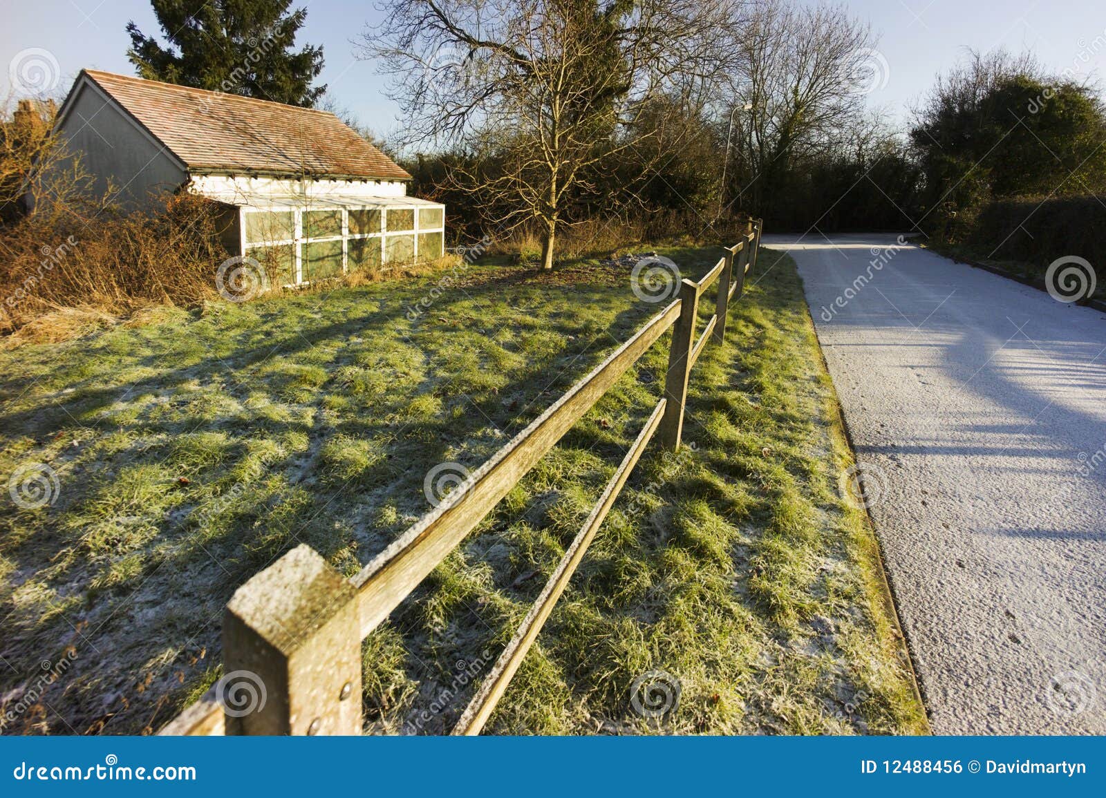 Country lane stock photo. Image of rural, morning, country - 12488456
