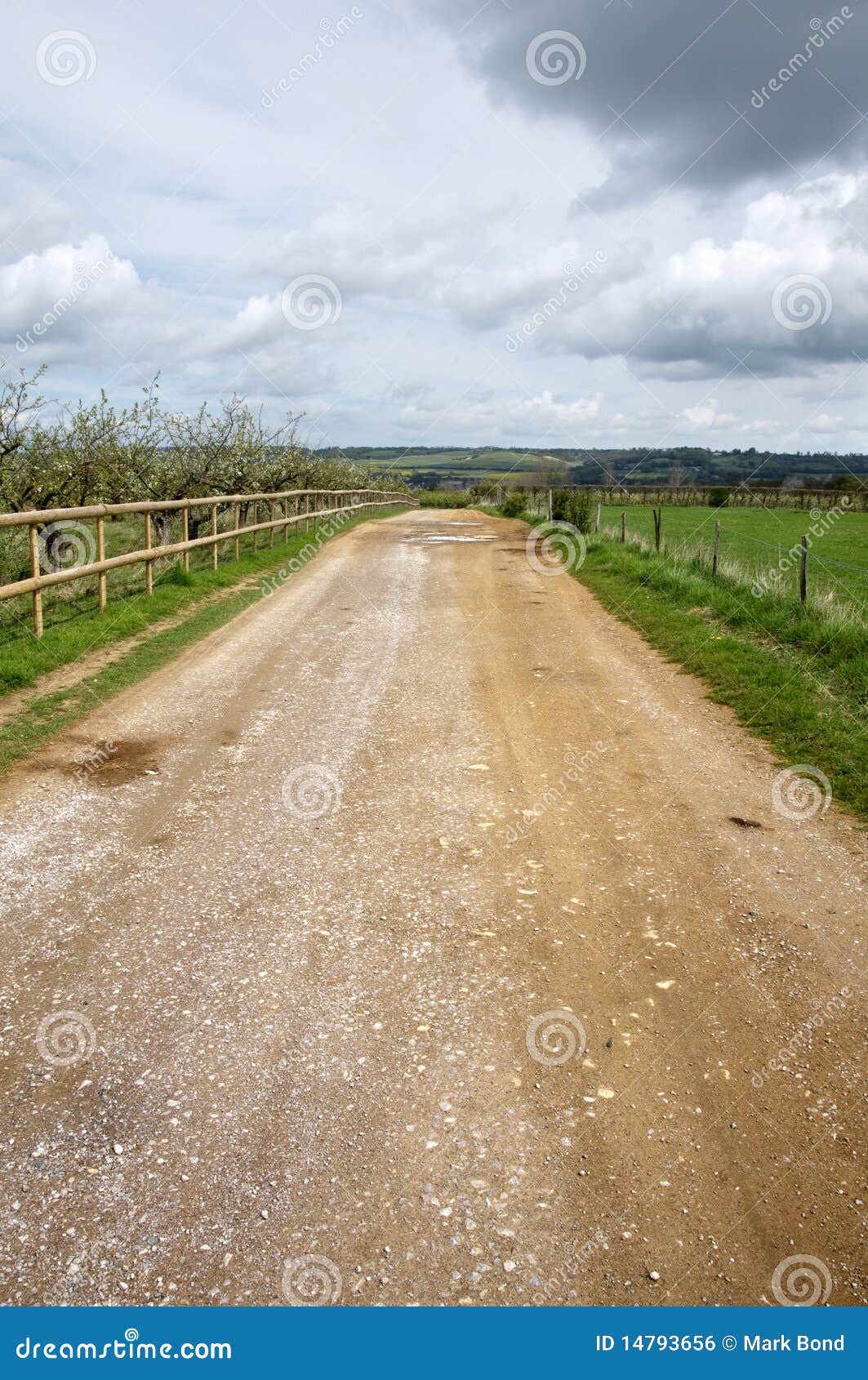 Country lane stock photo. Image of grassland, outdoor - 14793656