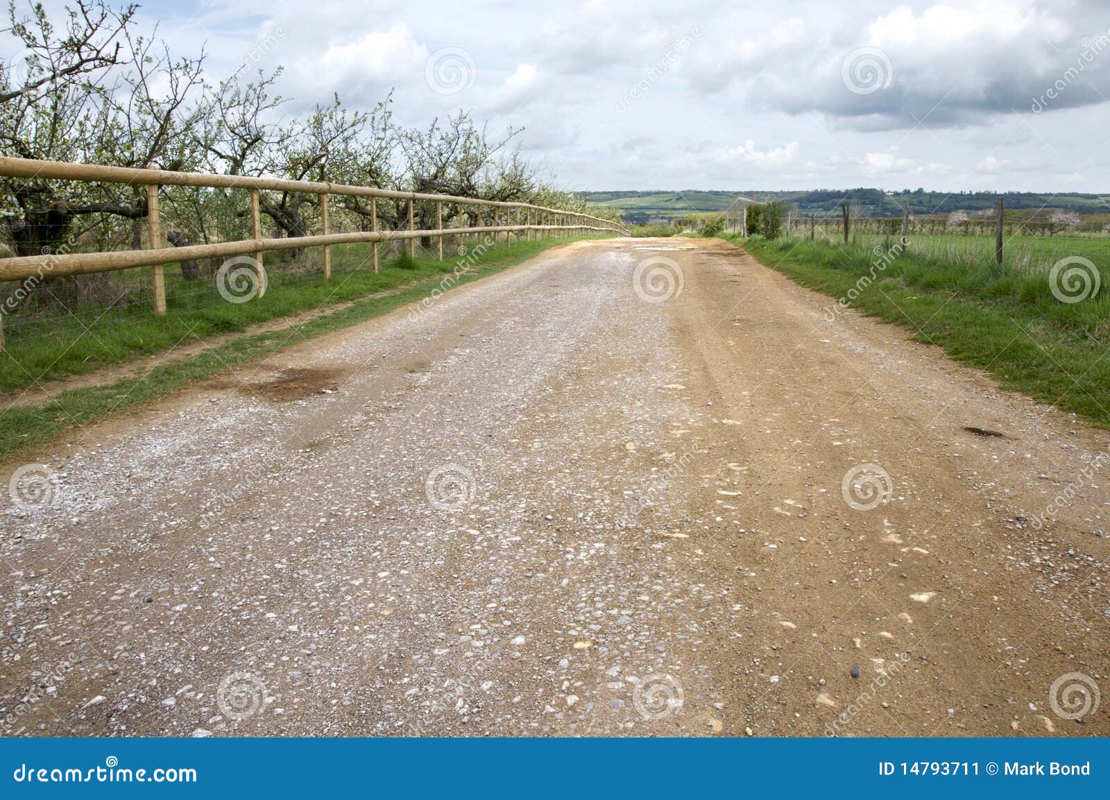 Country lane stock image. Image of rural, scenery, tree - 14793711
