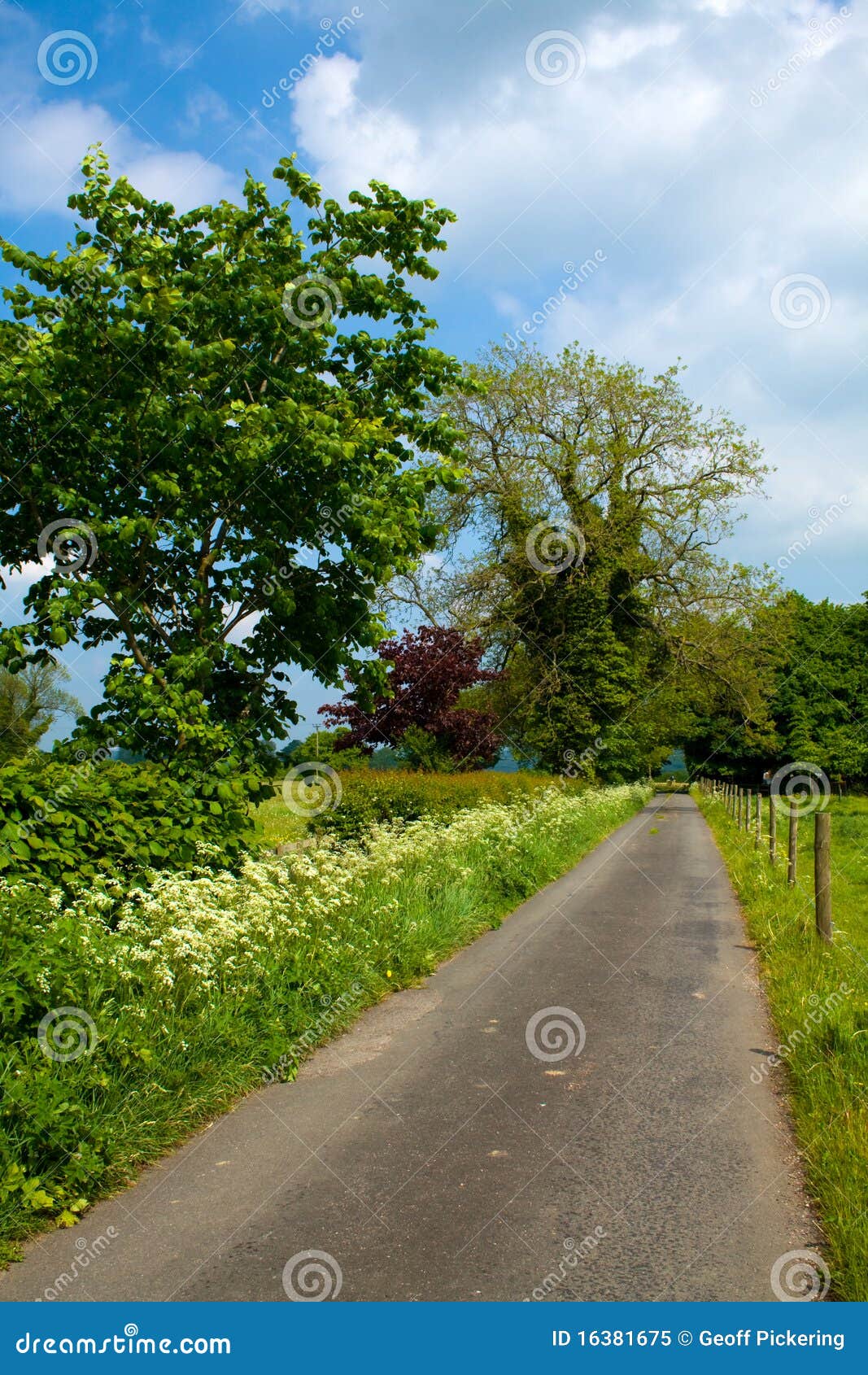 Country Lane stock image. Image of lane, thoroughfare - 16381675