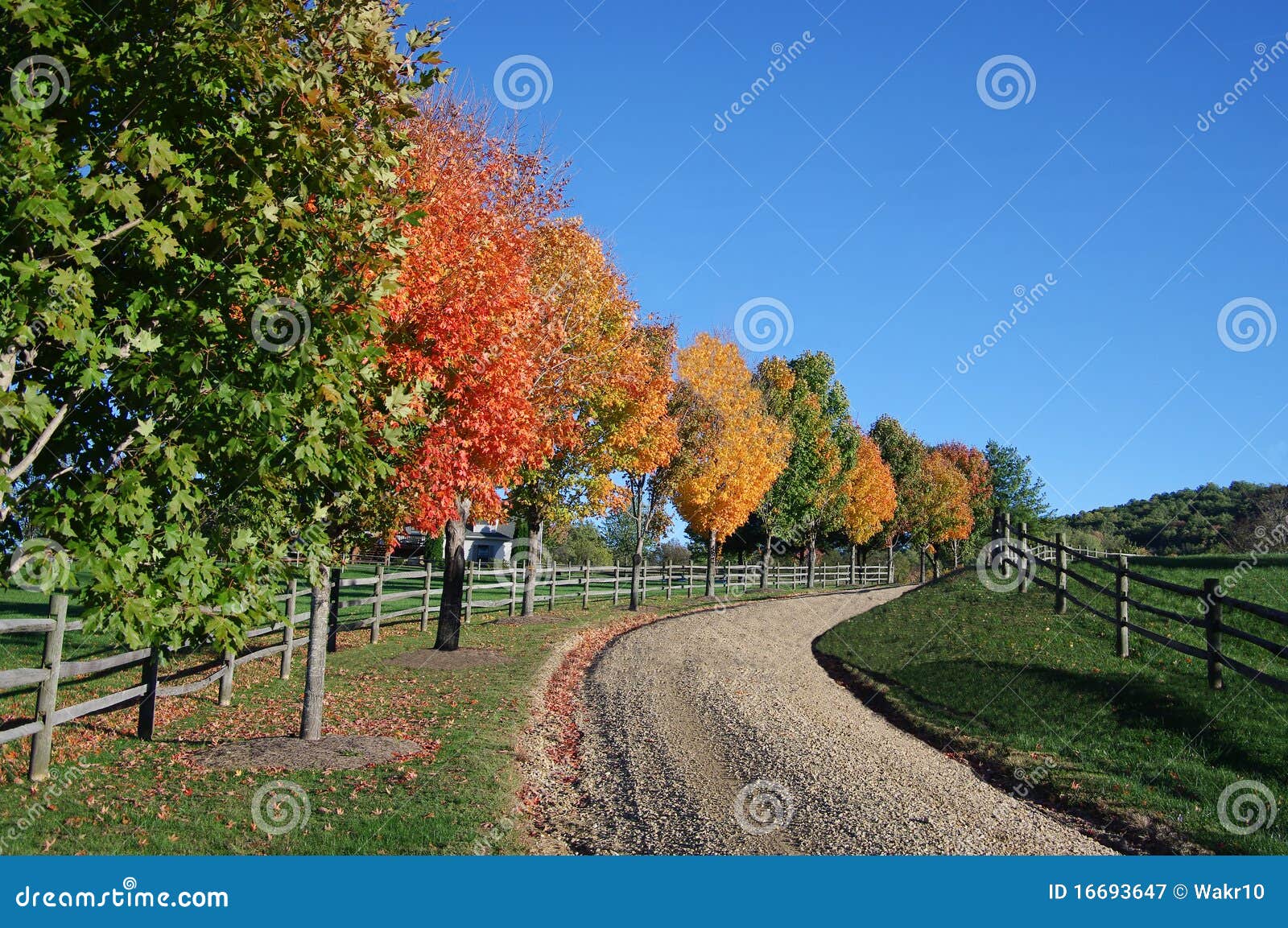 Country Lane stock image. Image of fall, quiet, countryside - 16693647