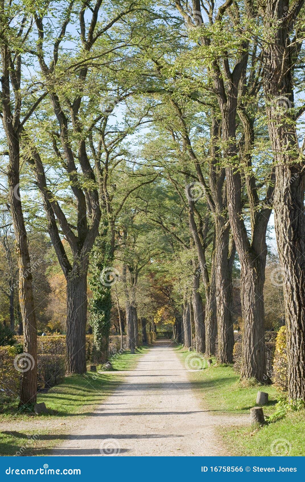 Country Lane stock photo. Image of countryside, october - 16758566