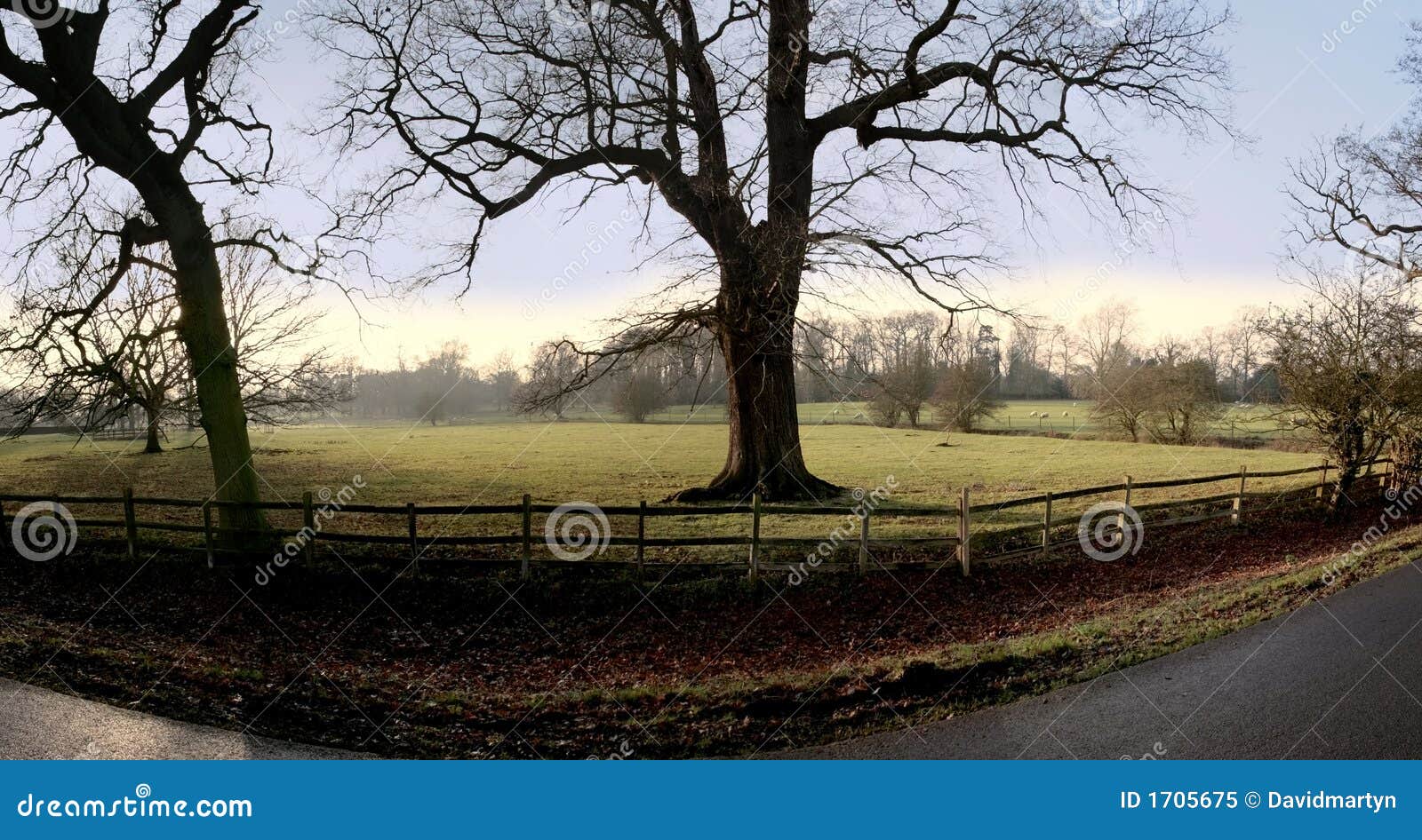 Country lane stock image. Image of landscape, road, outdoor - 1705675