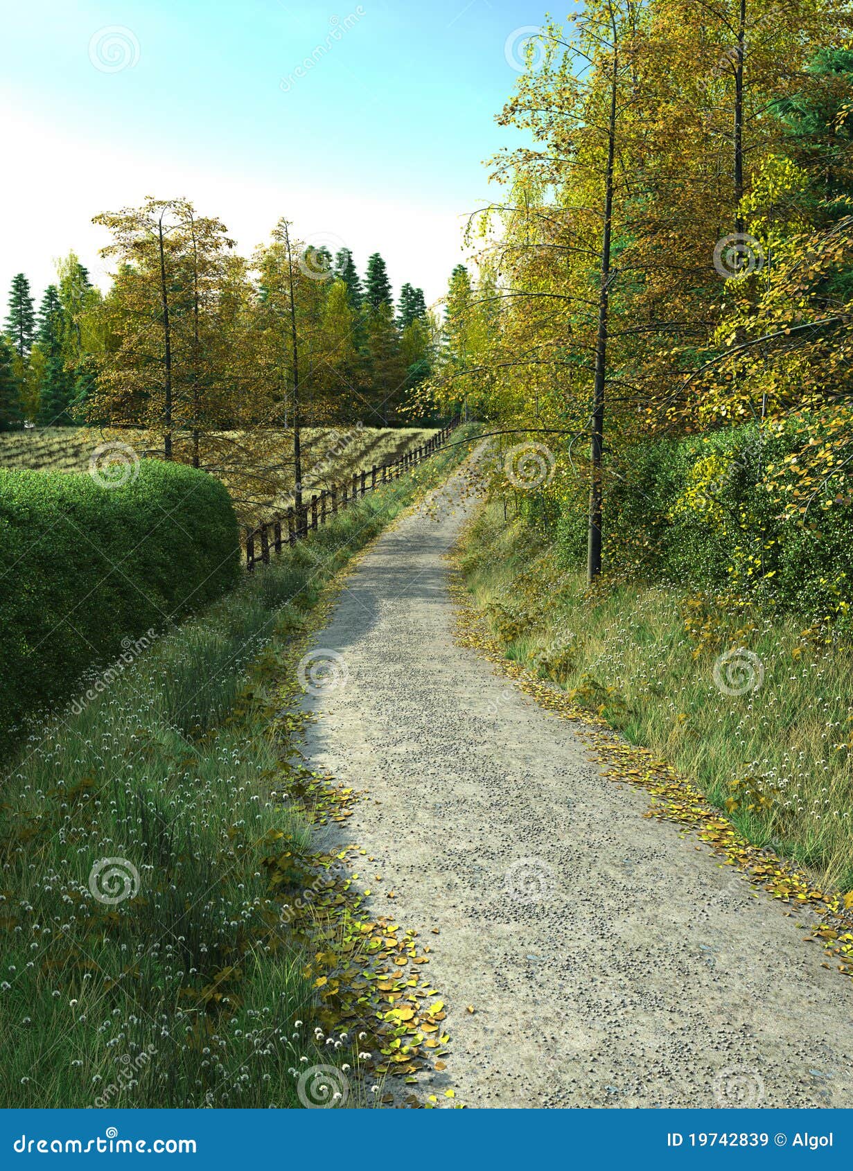Country Lane stock illustration. Illustration of sunshine - 19742839