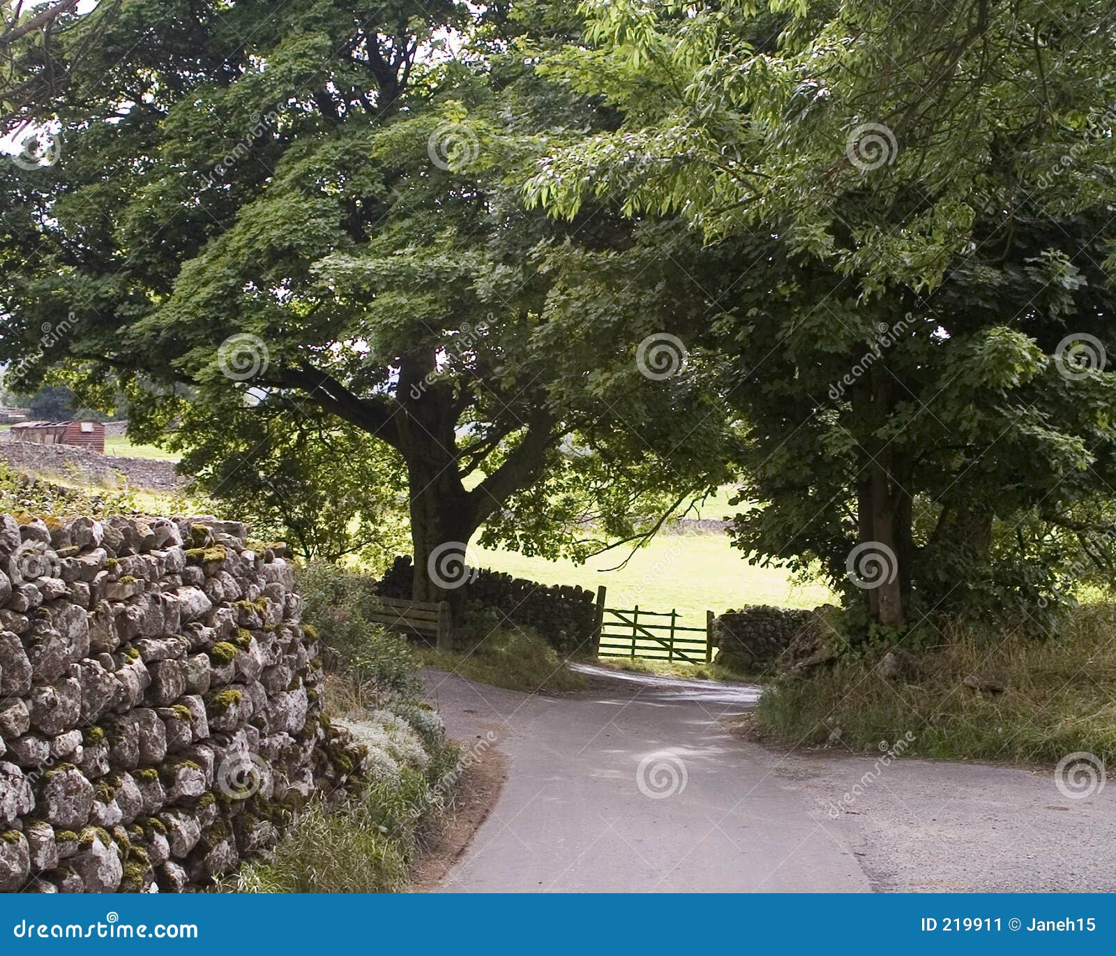 Country lane stock image. Image of grass, yorkshire, fields - 219911