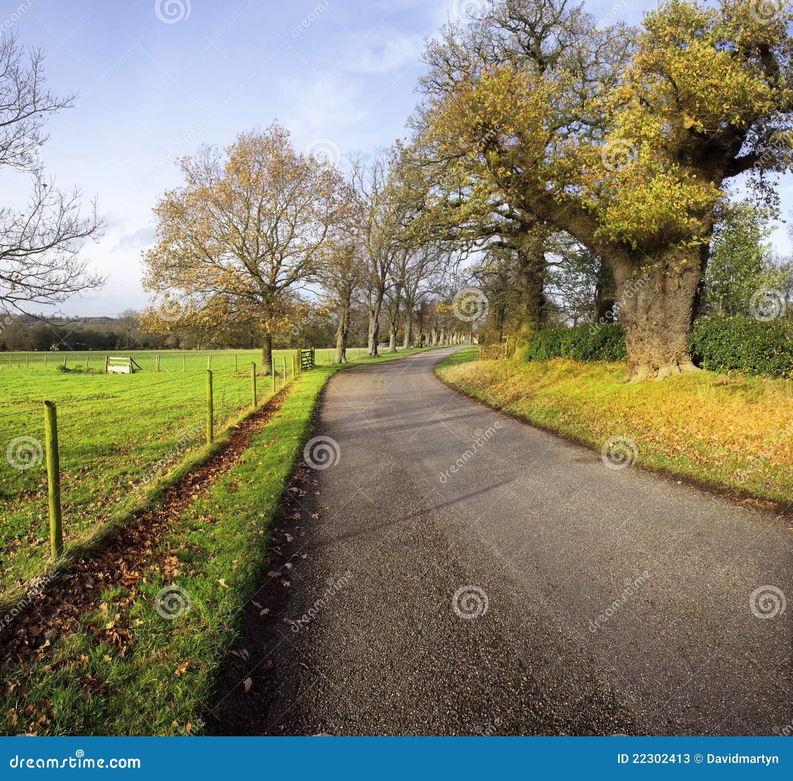 Country lane stock image. Image of road, empty, rural - 22302413