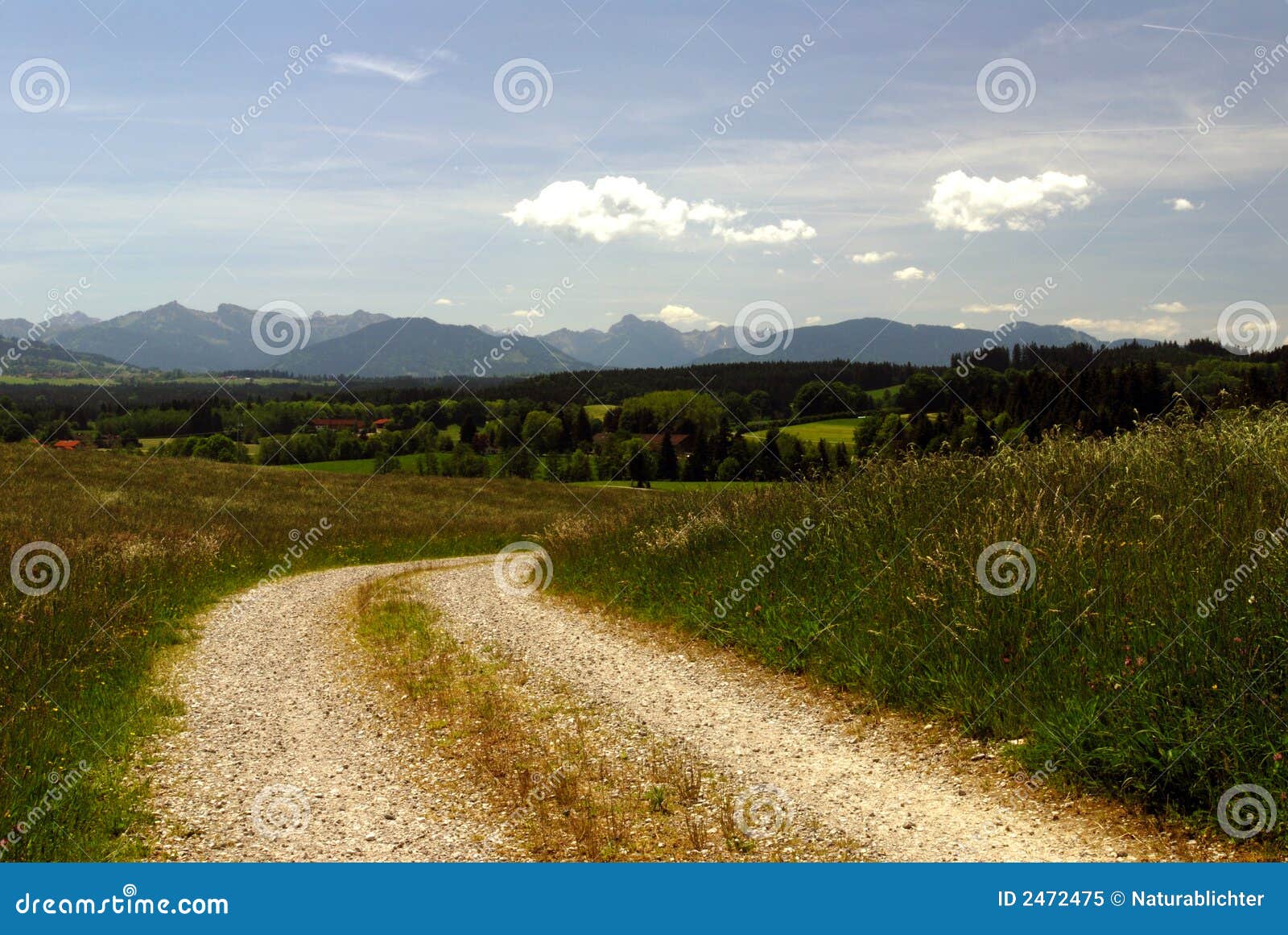 Country Lane stock image. Image of countryside, nature - 2472475