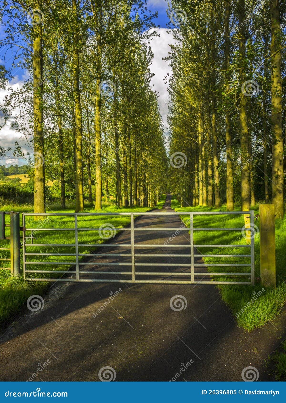 Country lane stock image. Image of estate, flat, distant - 26396805