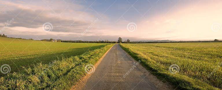 Country lane stock photo. Image of morning, landscape - 3541800