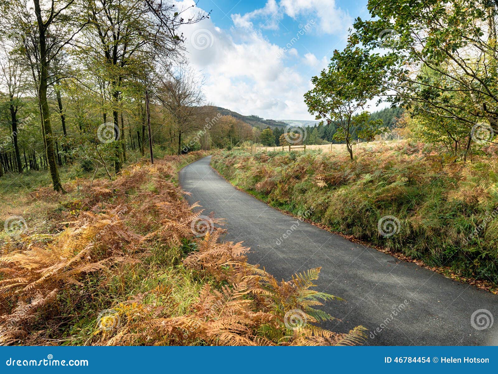 Country Lane stock photo. Image of scenic, cornwall, nature - 46784454