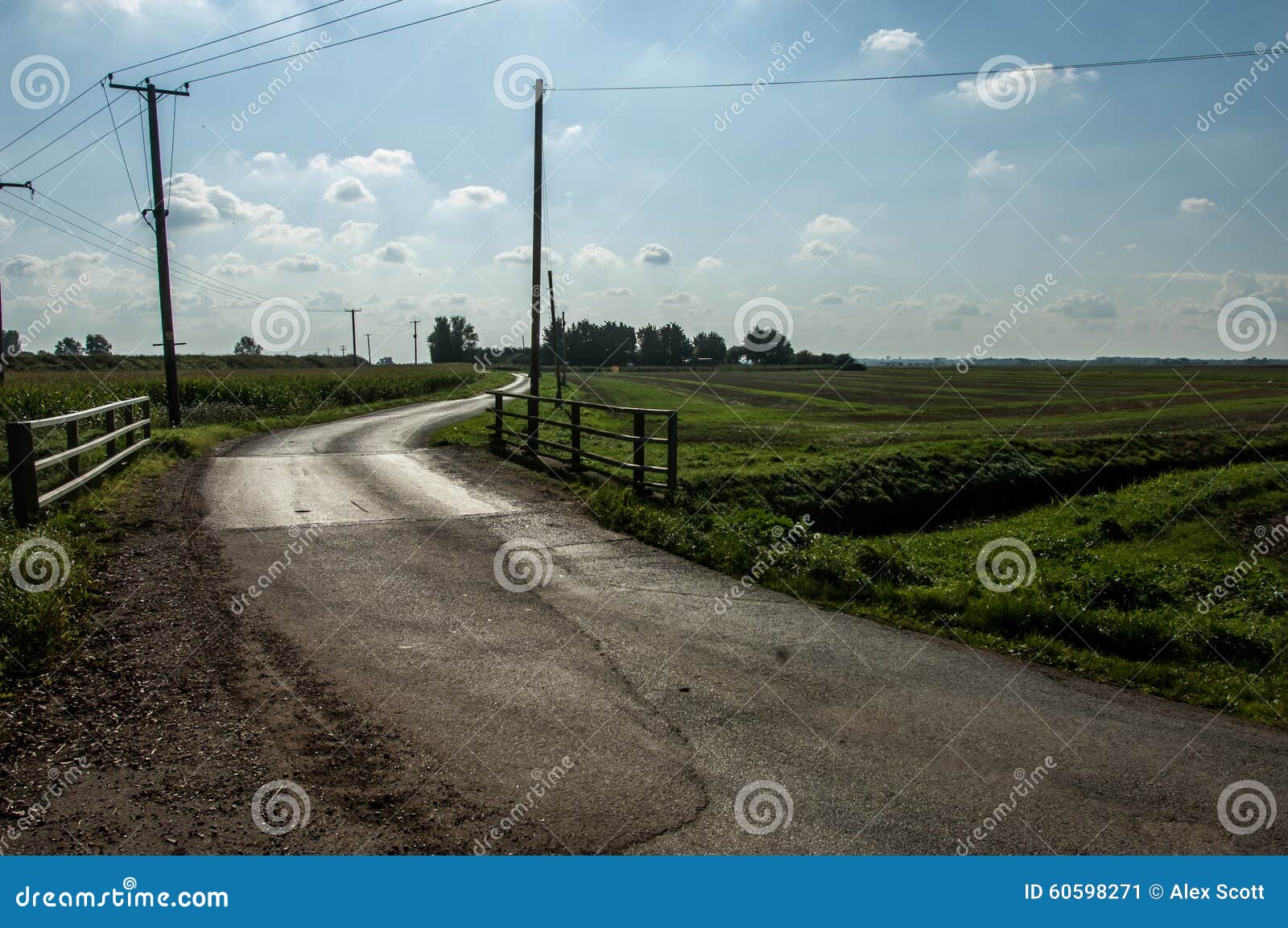 Country lane and bridge stock image. Image of agriculture - 60598271