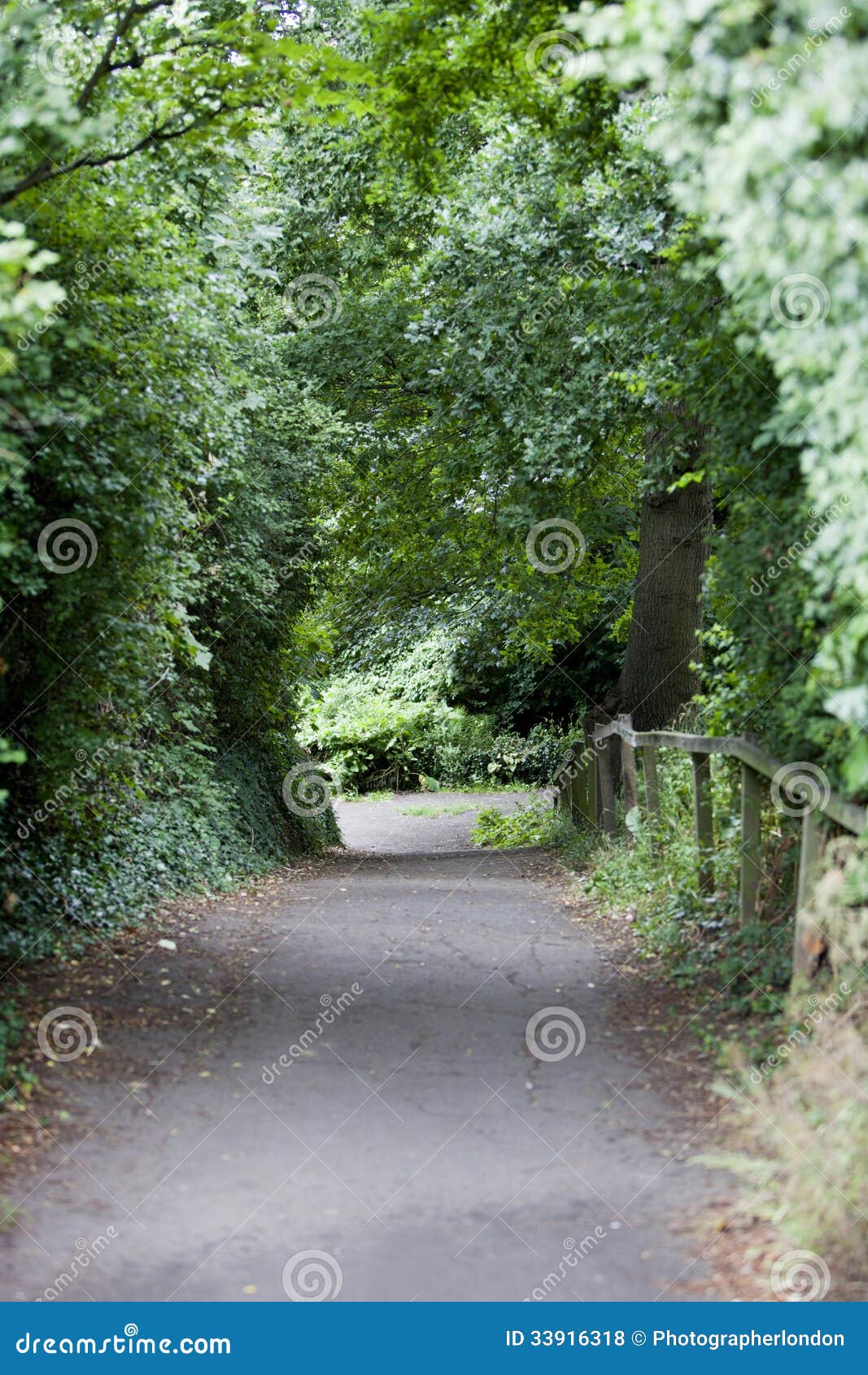 Country Lane in British Countryside Stock Photo - Image of pedestrian ...