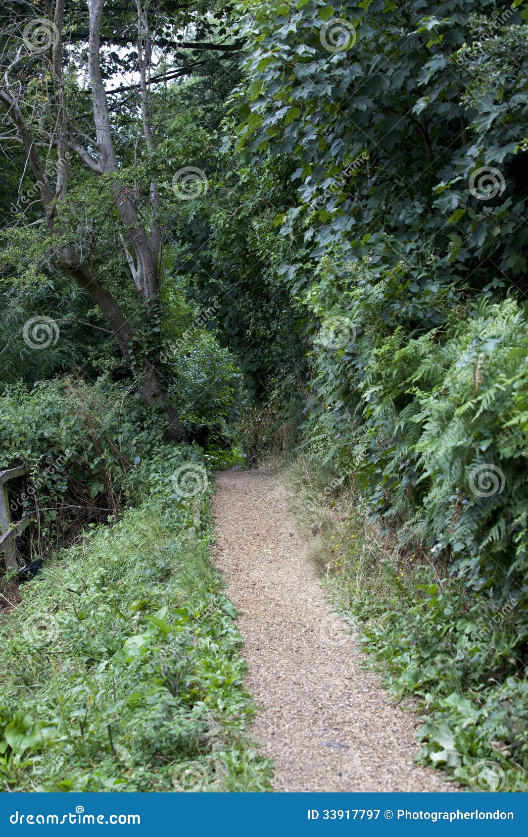 Country Lane in British Countryside Stock Image - Image of beauty ...