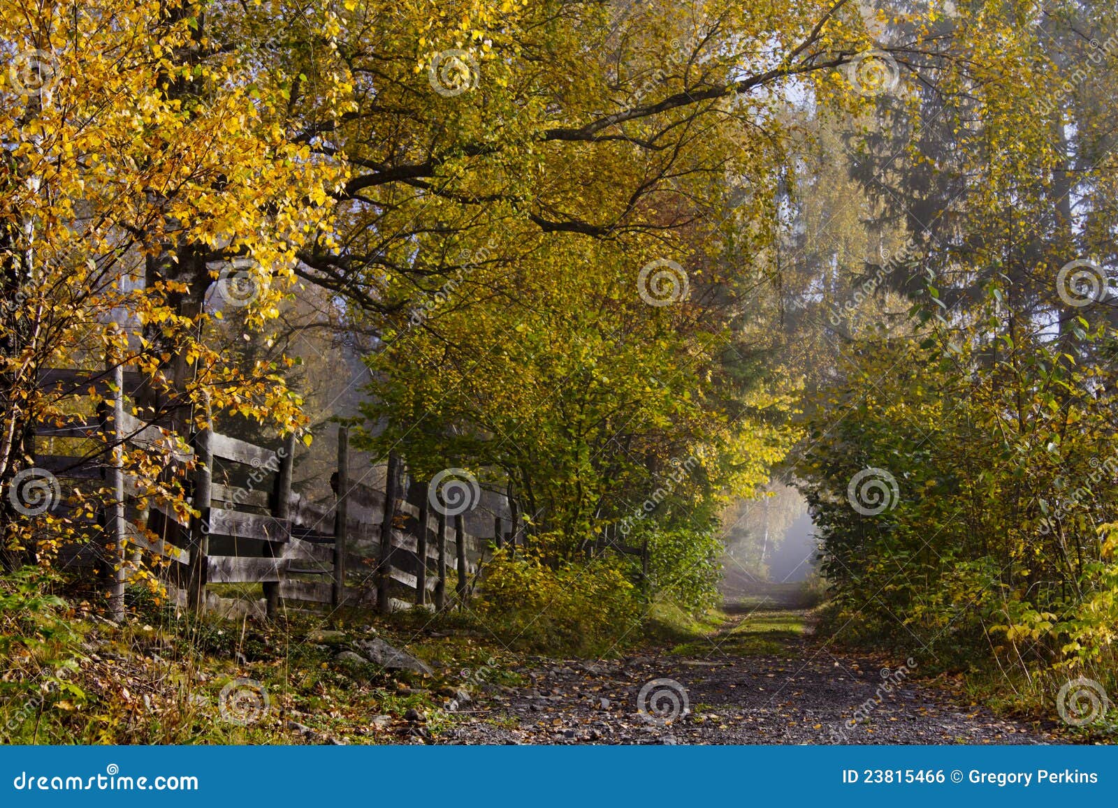Country Lane with Deciduous Trees in Autumn Colors Stock Photo - Image ...