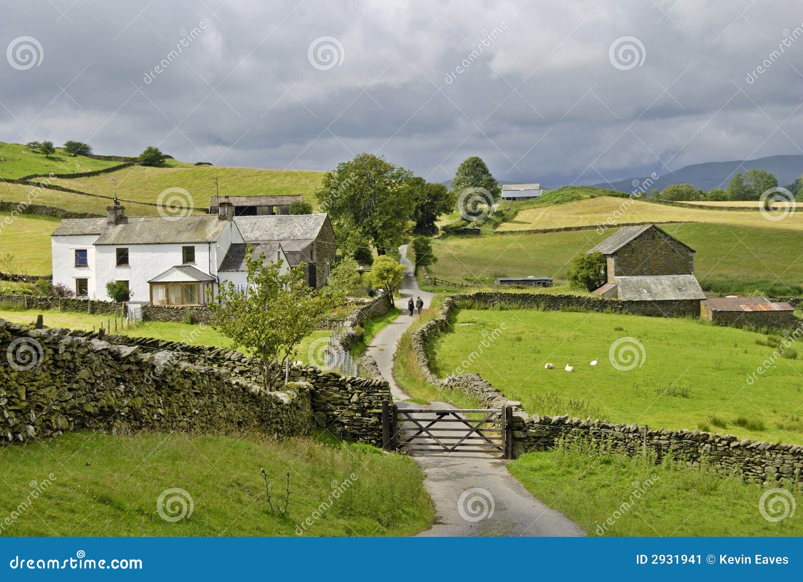 Country lane and farm stock image. Image of barn, healthy - 2931941