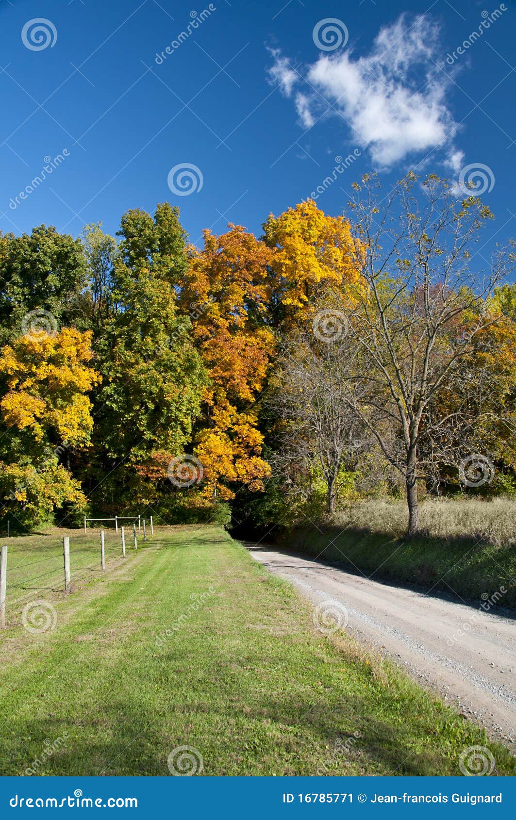 Country Lane and Field in the Fall Stock Image - Image of pennsylvania ...