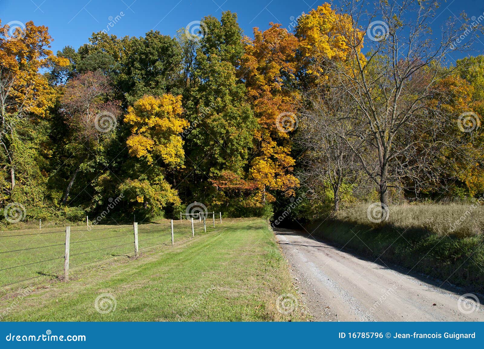 Country Lane and Field in the Fall Stock Photo - Image of field, meadow ...