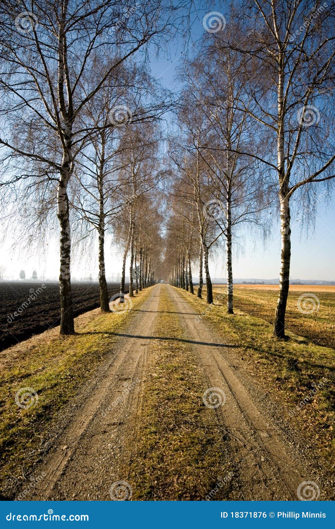 Country Lane, Germany stock photo. Image of field, agricultural - 18371876