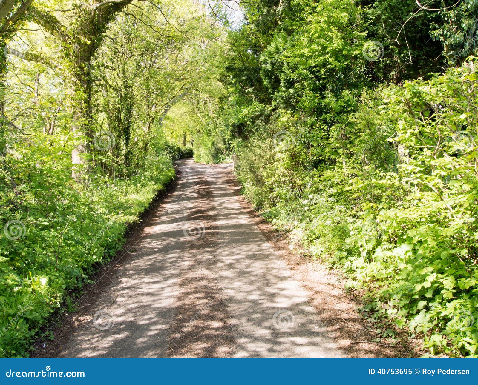Country Lane stock image. Image of nature, remote, outdoors - 40753695