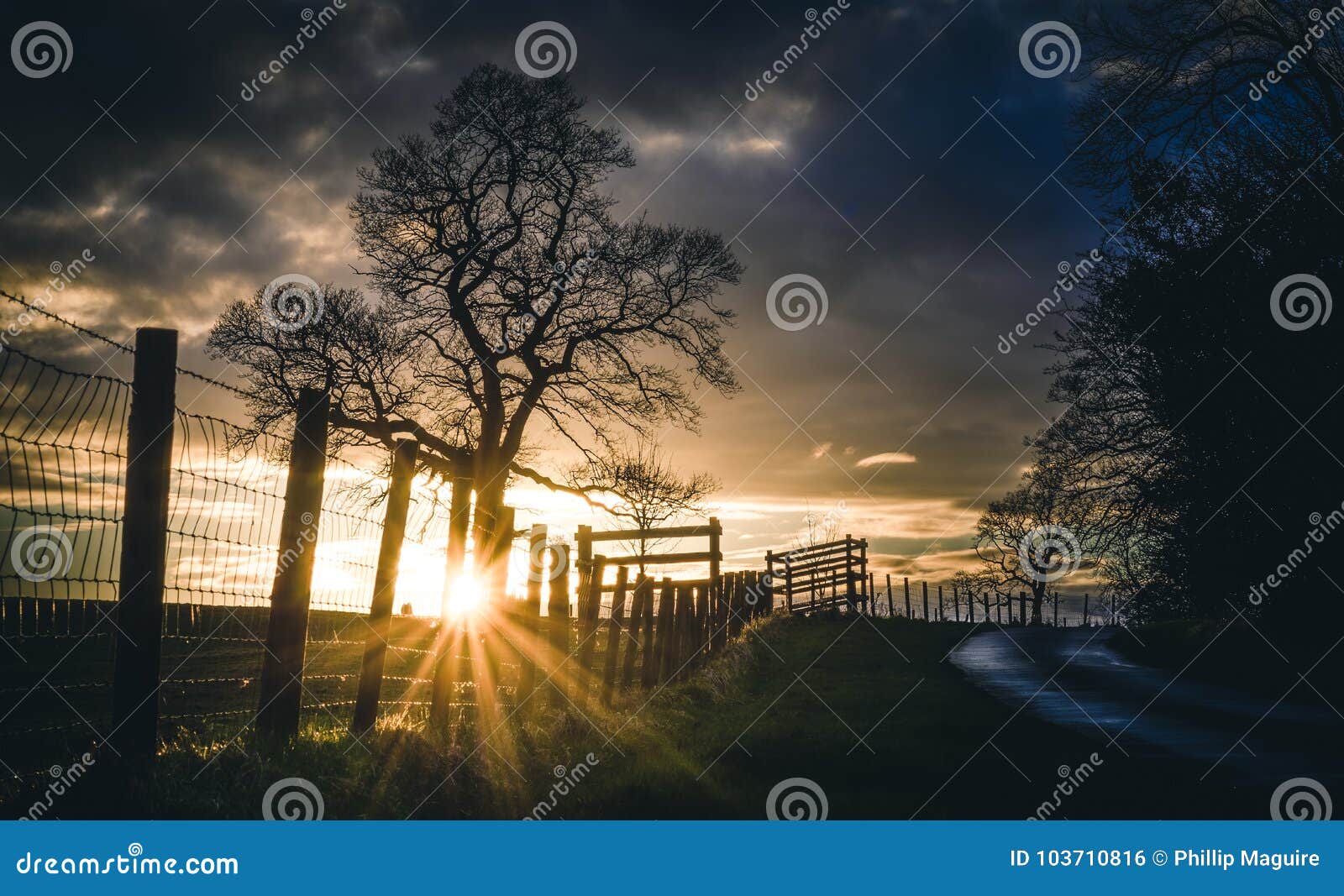 Country lane at sunset stock photo. Image of wooden - 103710816
