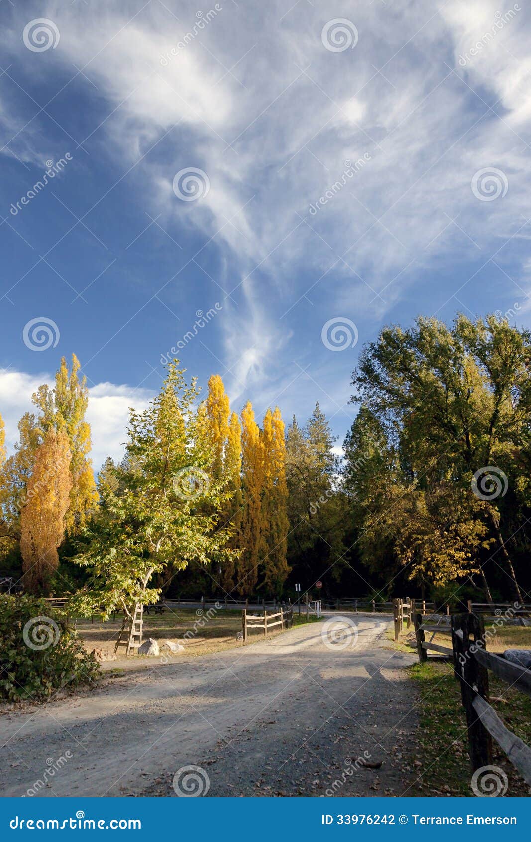 Country Lane stock photo. Image of foliage, deciduous - 33976242