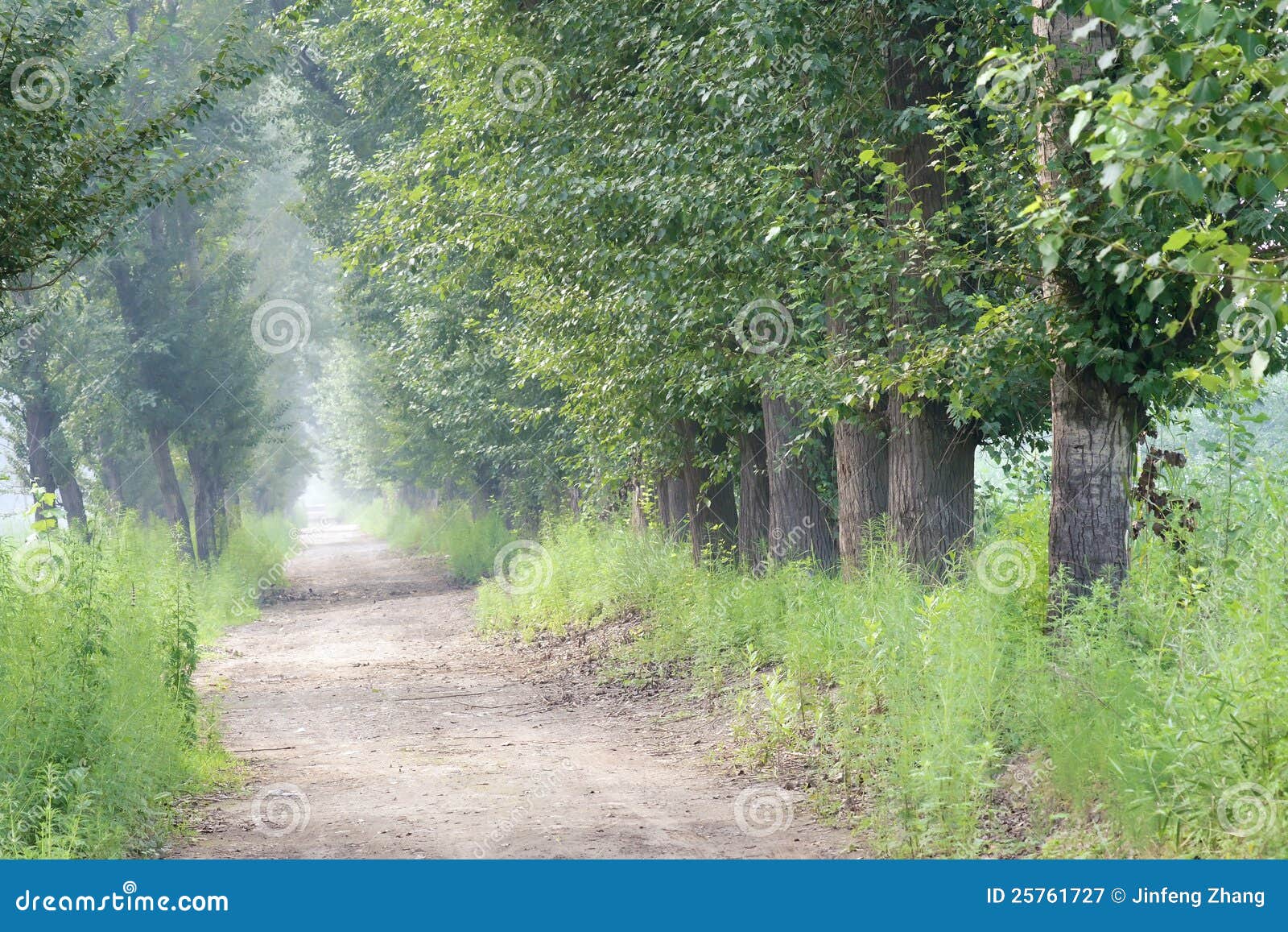 Country lanes stock image. Image of country, passageway - 25761727