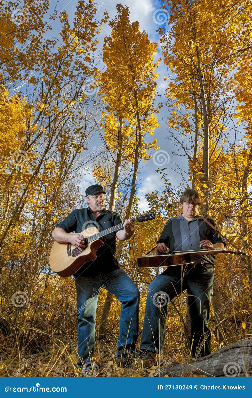 Country Musicians Play Music in the Forest Stock Image - Image of ...