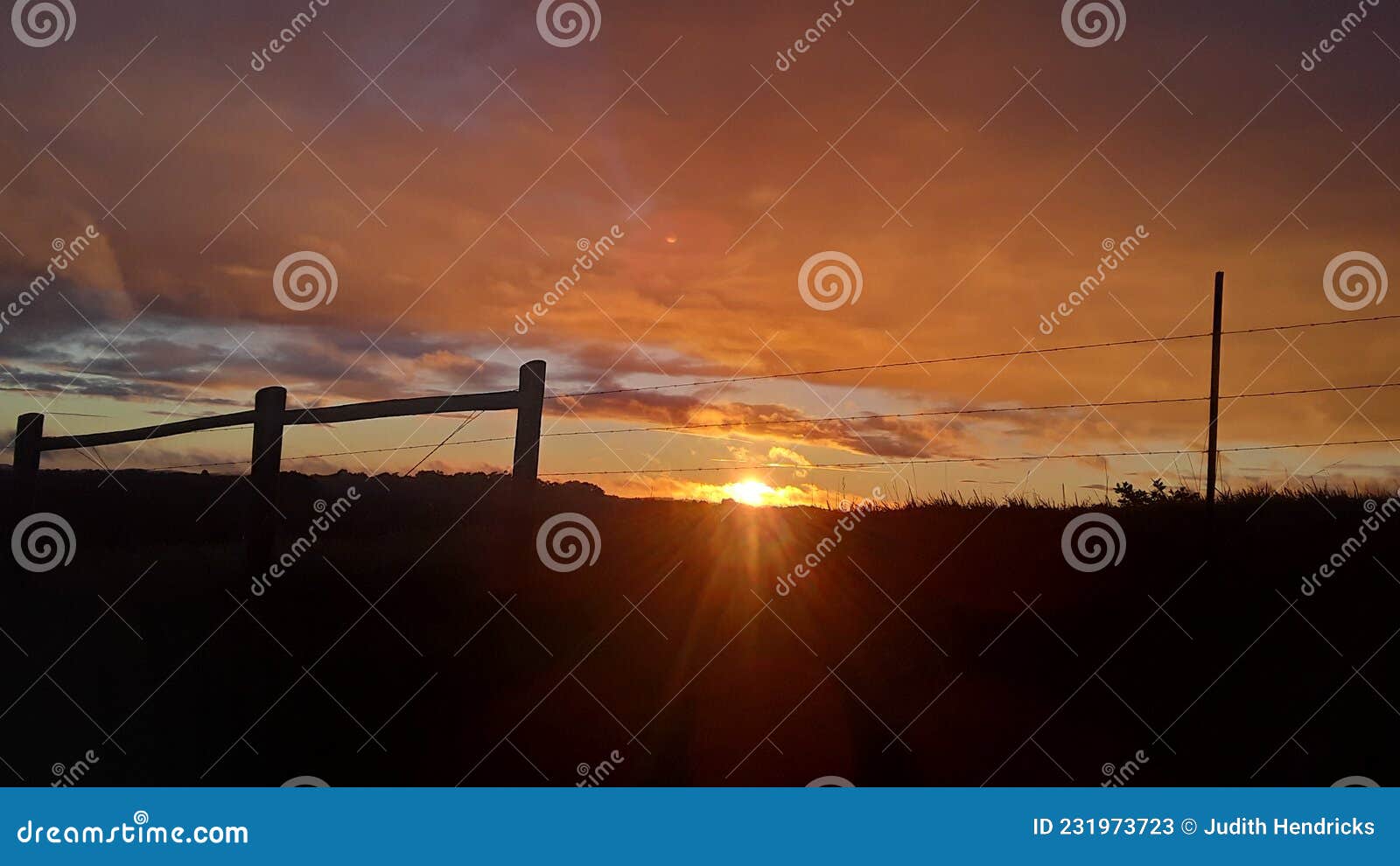 Country Night sets stock image. Image of dawn, screenshot - 231973723