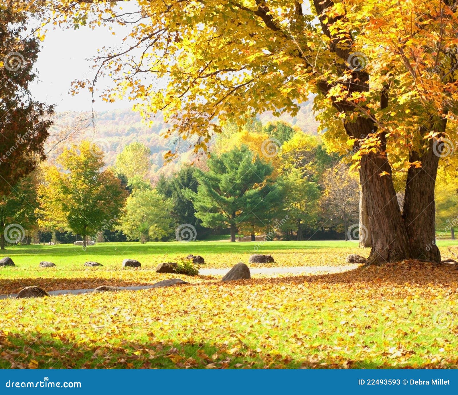 Country park stock image. Image of park, country, outdoors - 22493593