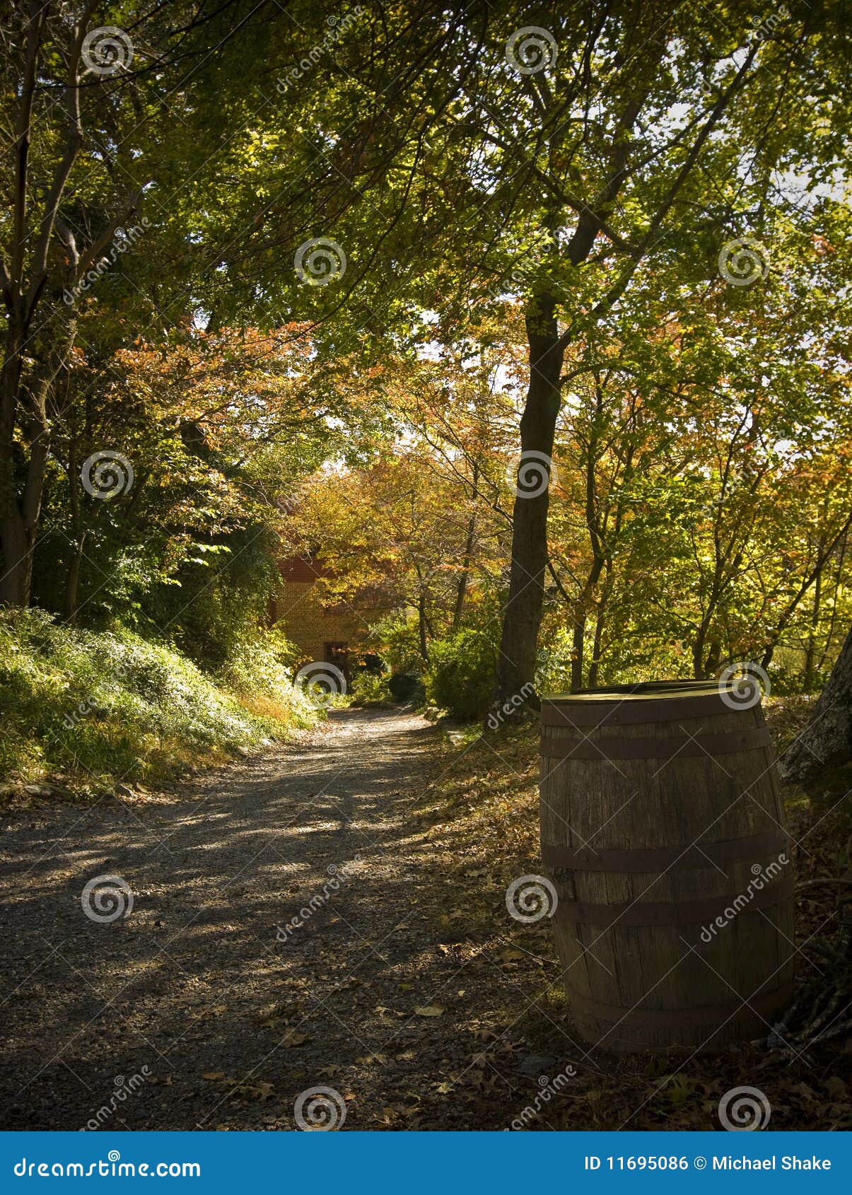 Country Path stock photo. Image of leaves, landscape - 11695086