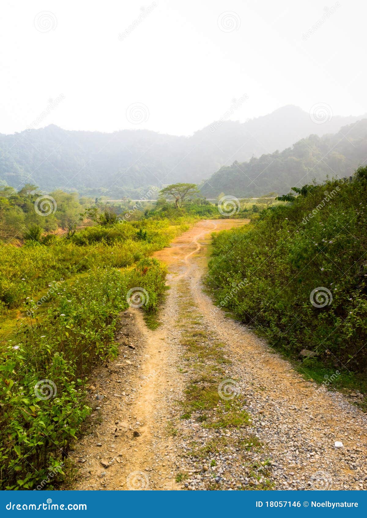 Country path stock photo. Image of wilderness, thanh - 18057146