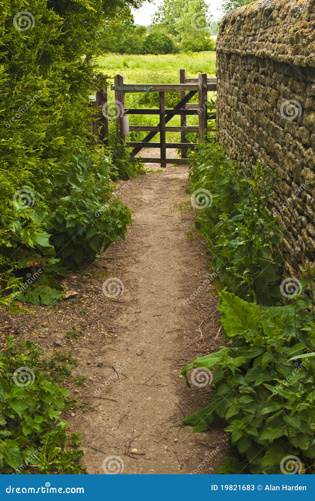 Country path stock image. Image of country, summer, countryside - 19821683