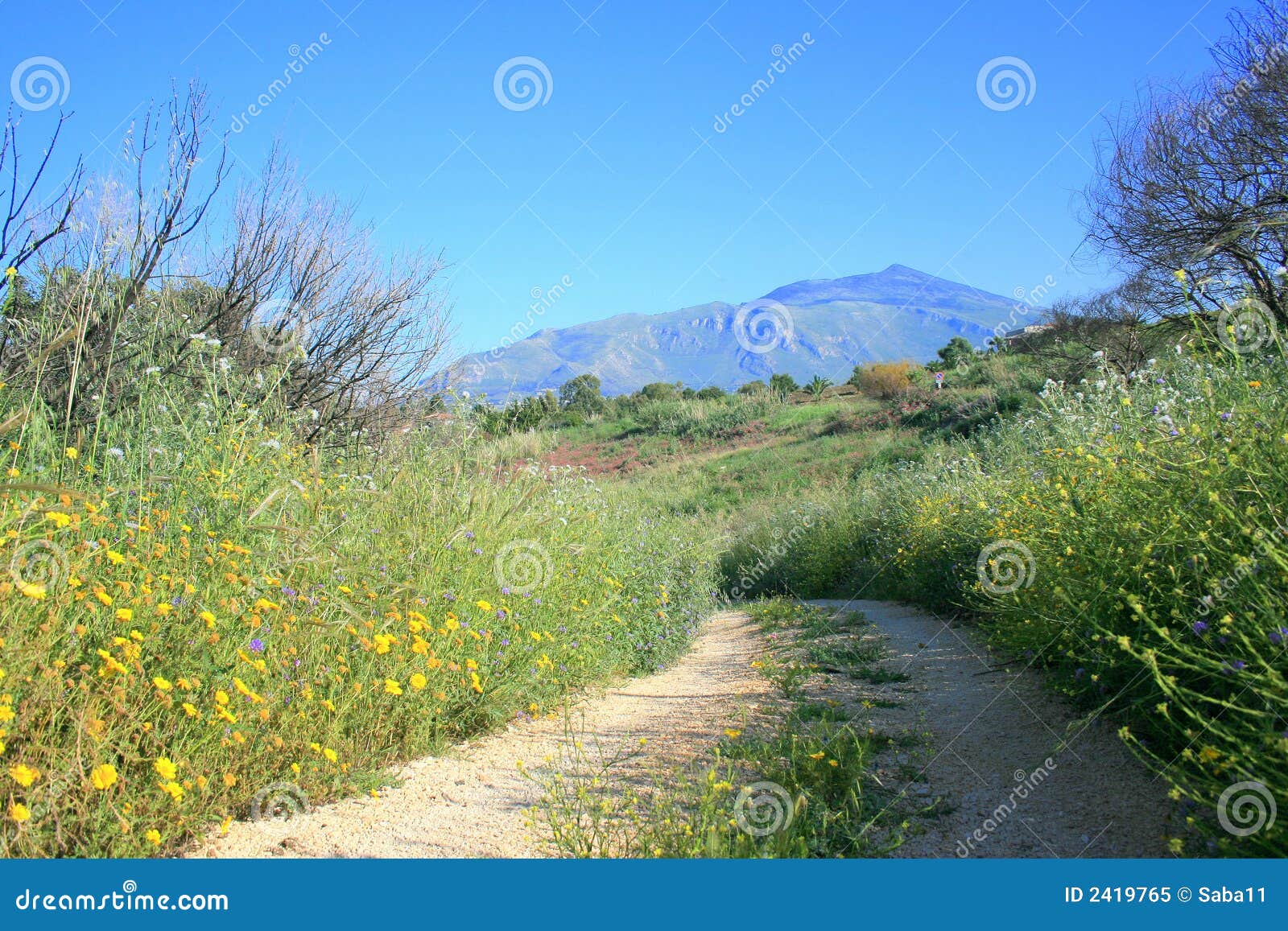 Country path stock image. Image of countryside, nature - 2419765