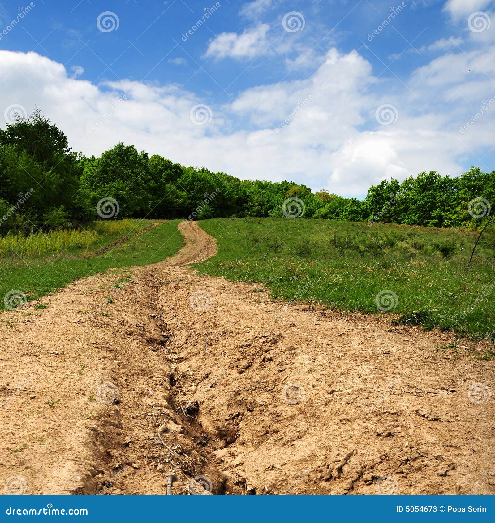 Country Path stock image. Image of country, woods, color - 5054673