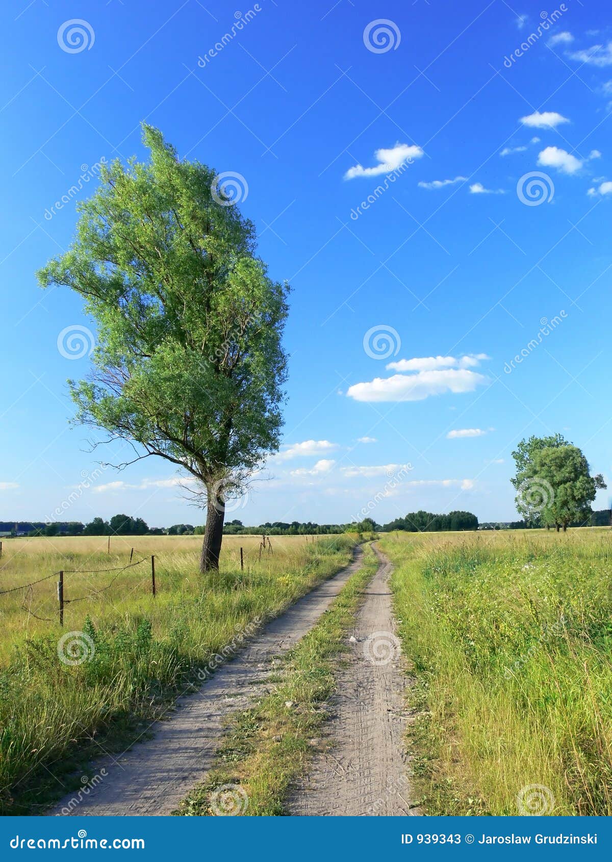 Country path stock image. Image of landscape, cloudless - 939343