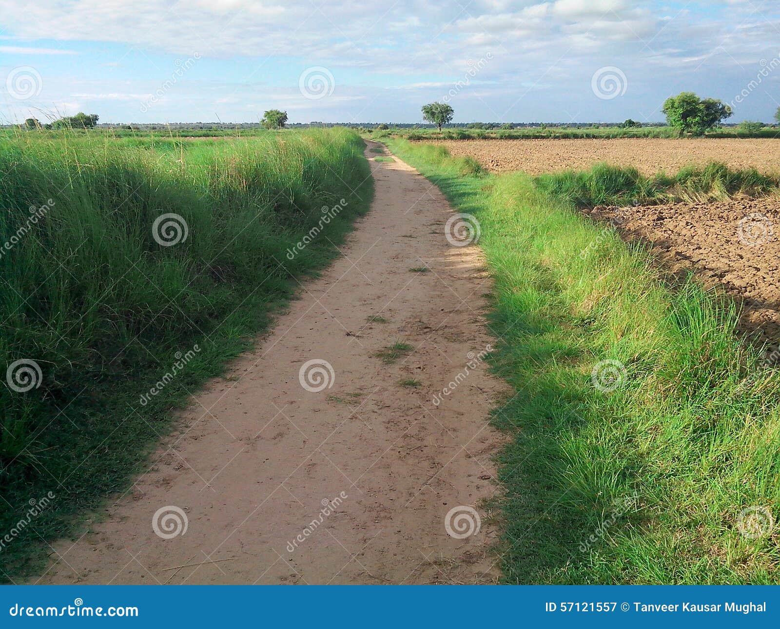 Country Path stock image. Image of trail, plantation - 57121557