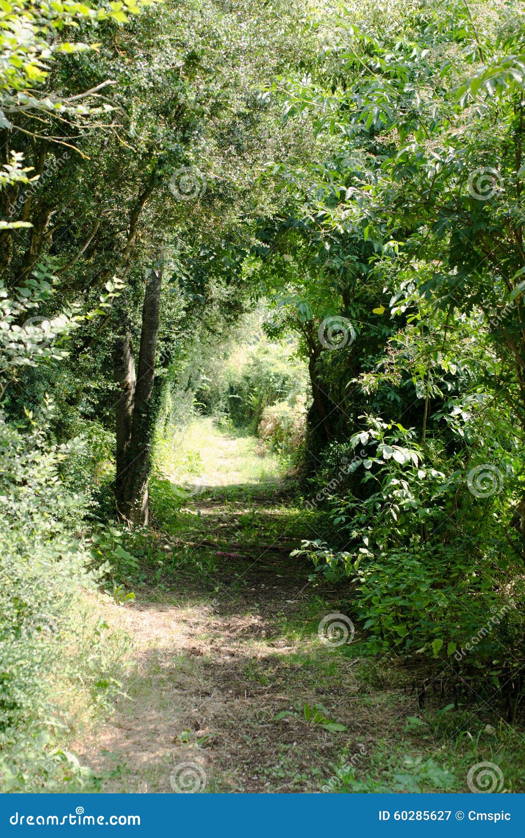 Country path stock image. Image of footpath, rural, walk - 60285627