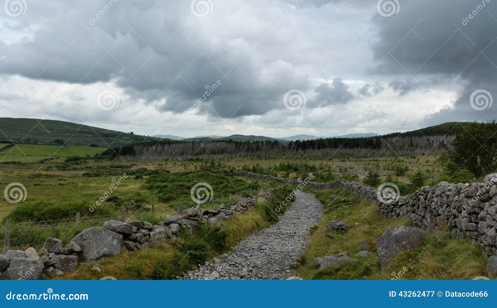 Country path ireland stock image. Image of walk, track - 43262477
