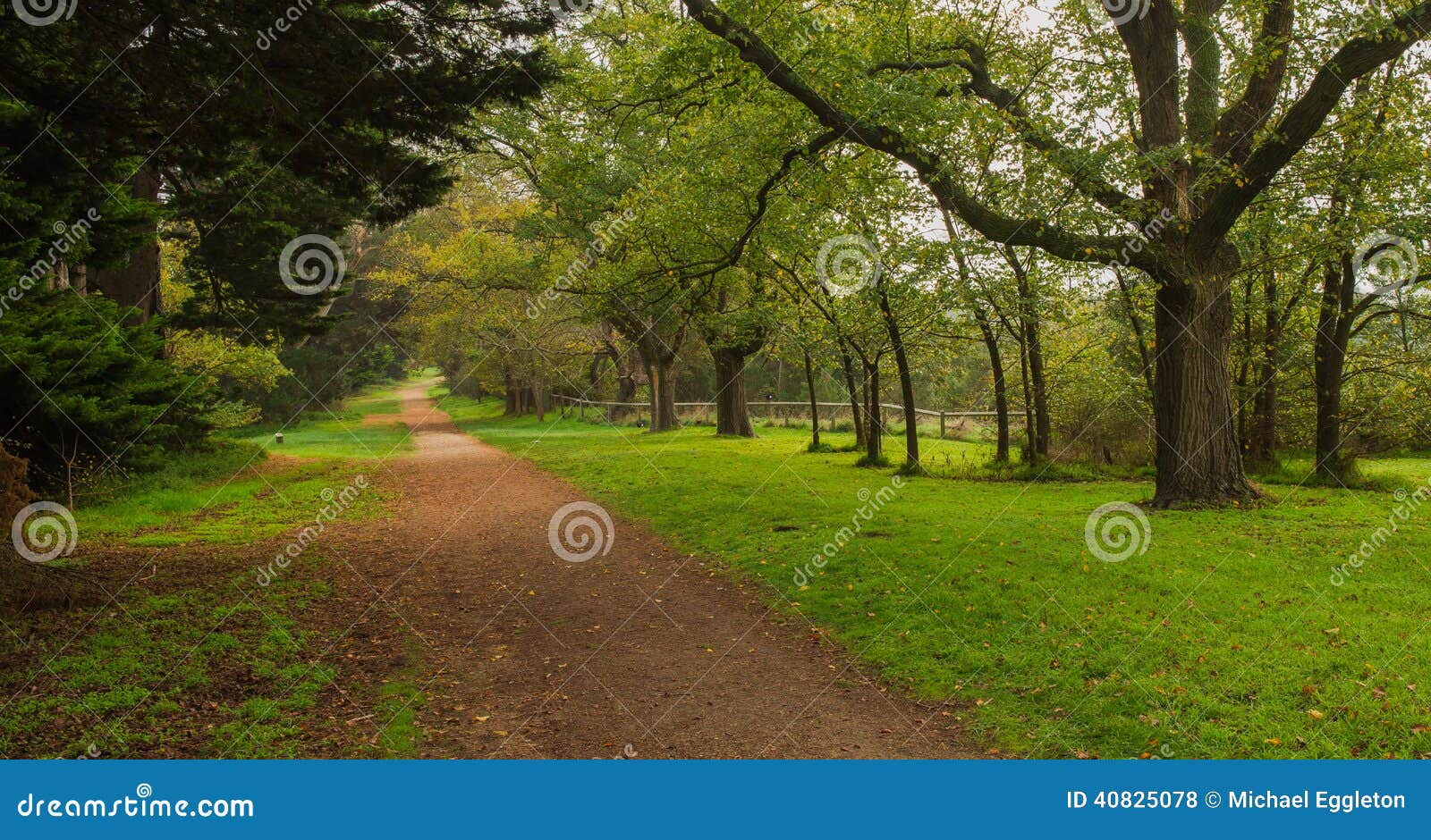 Country Path stock photo. Image of track, landscape, lonely - 40825078