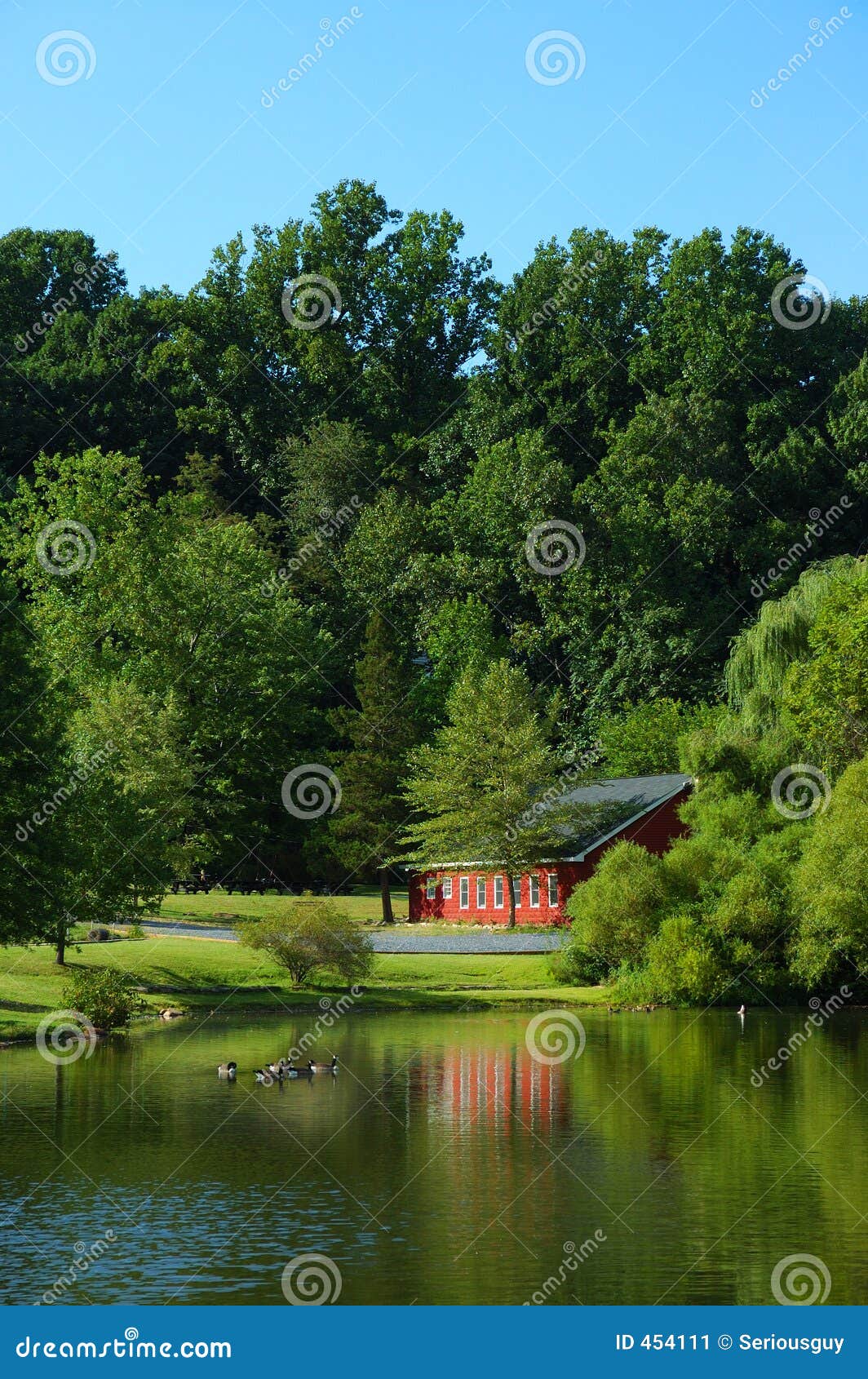 Country pond stock image. Image of trees, scenic, shady - 454111